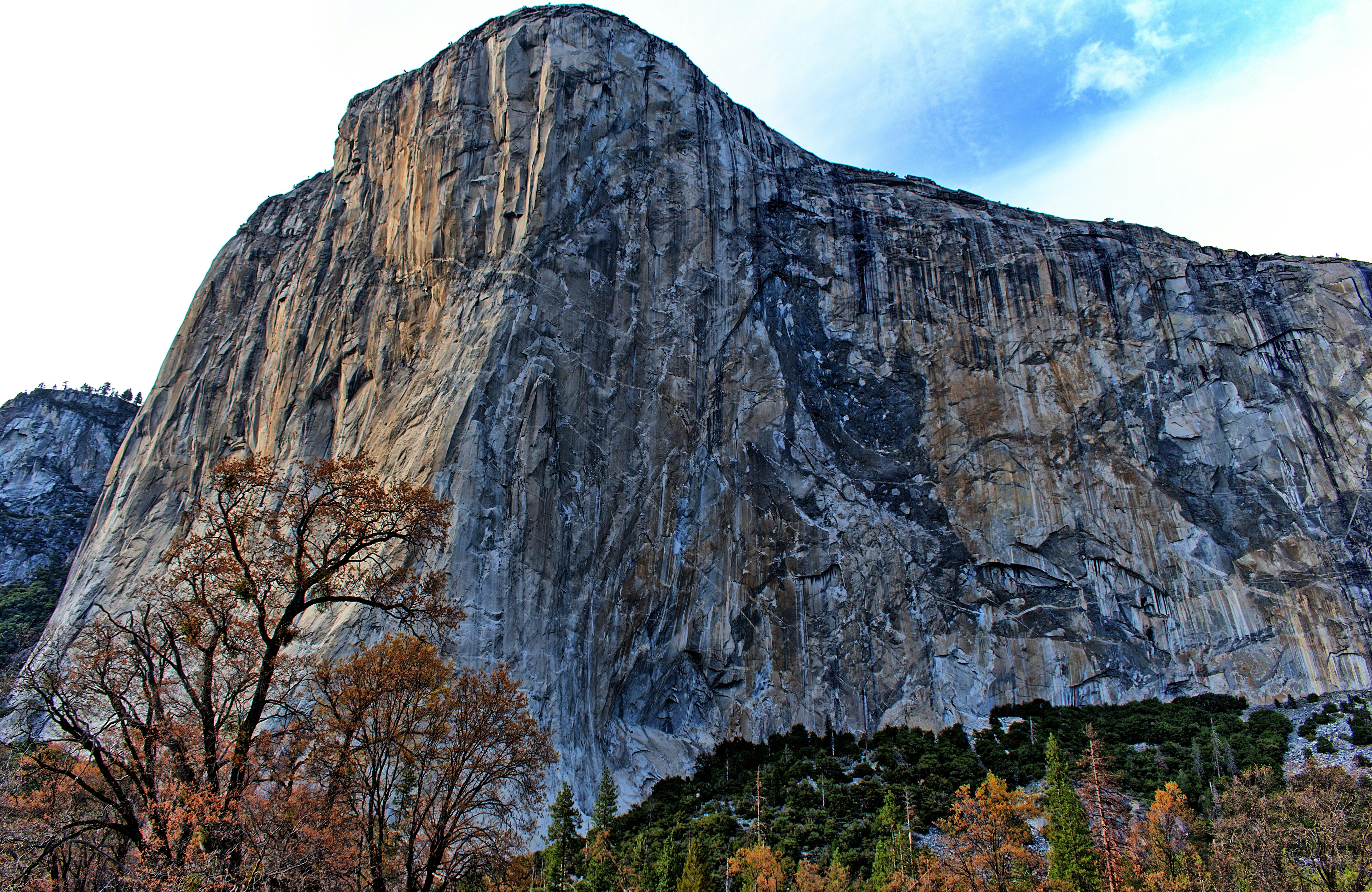 High Rocky Cliff El Capitan in Yosemite National Park · Free Stock Photo