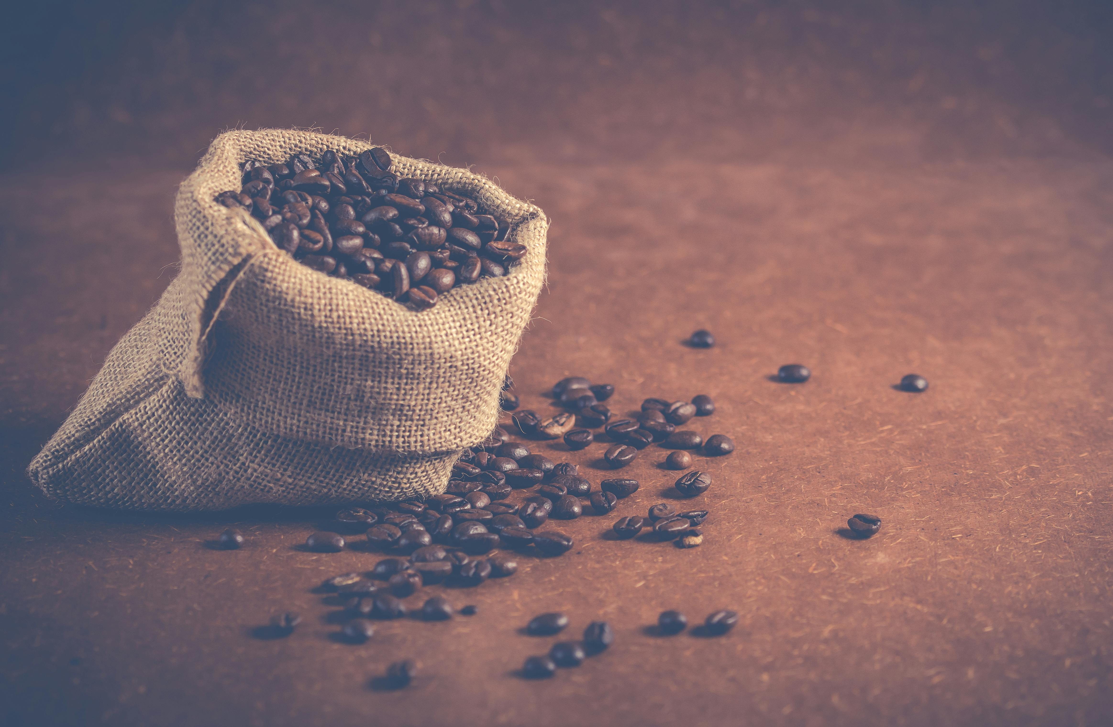 Free stock photo of beans, brew, caffeine