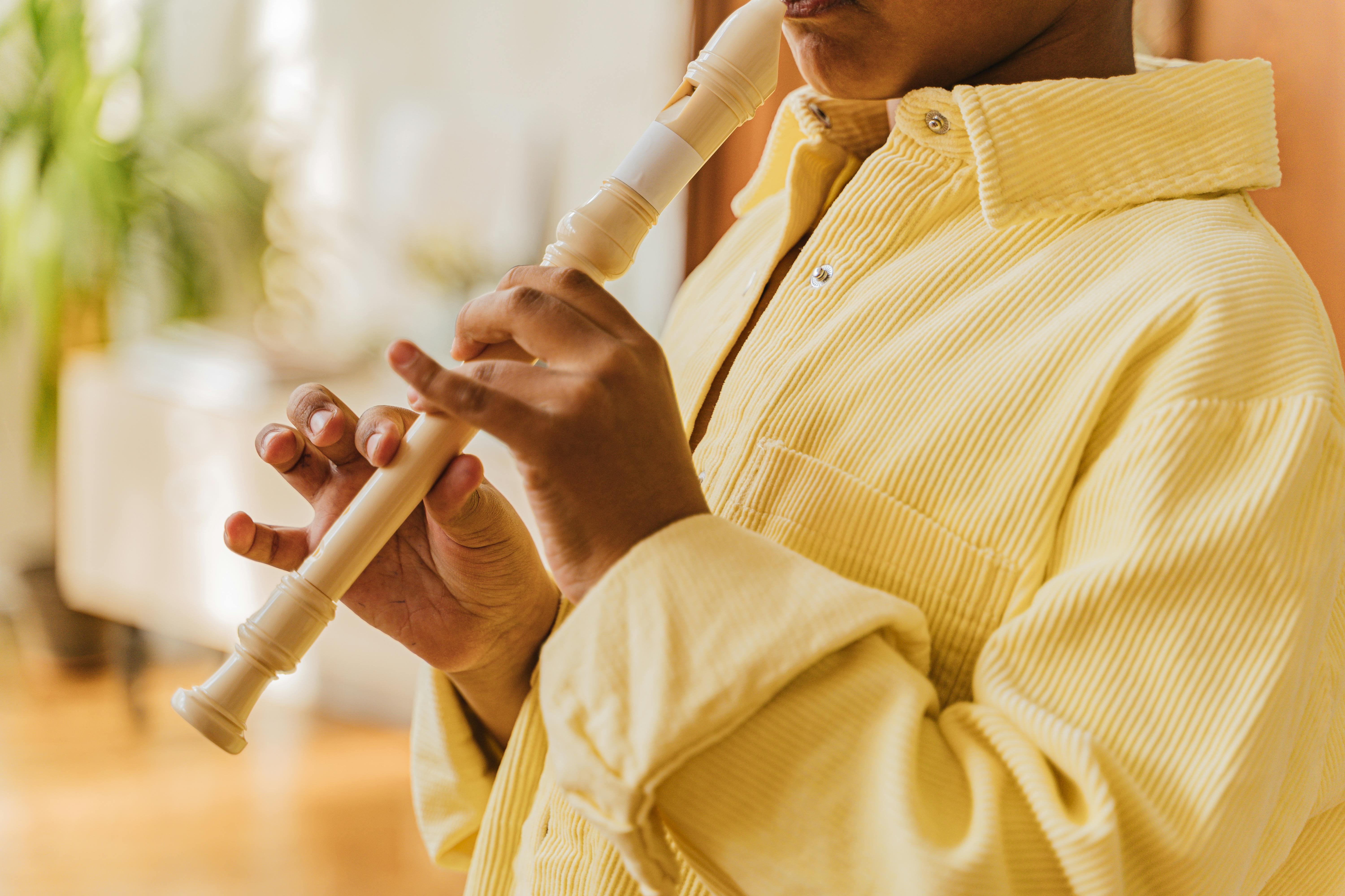 Recorder Instruments Photos, Download The BEST Free Recorder ...