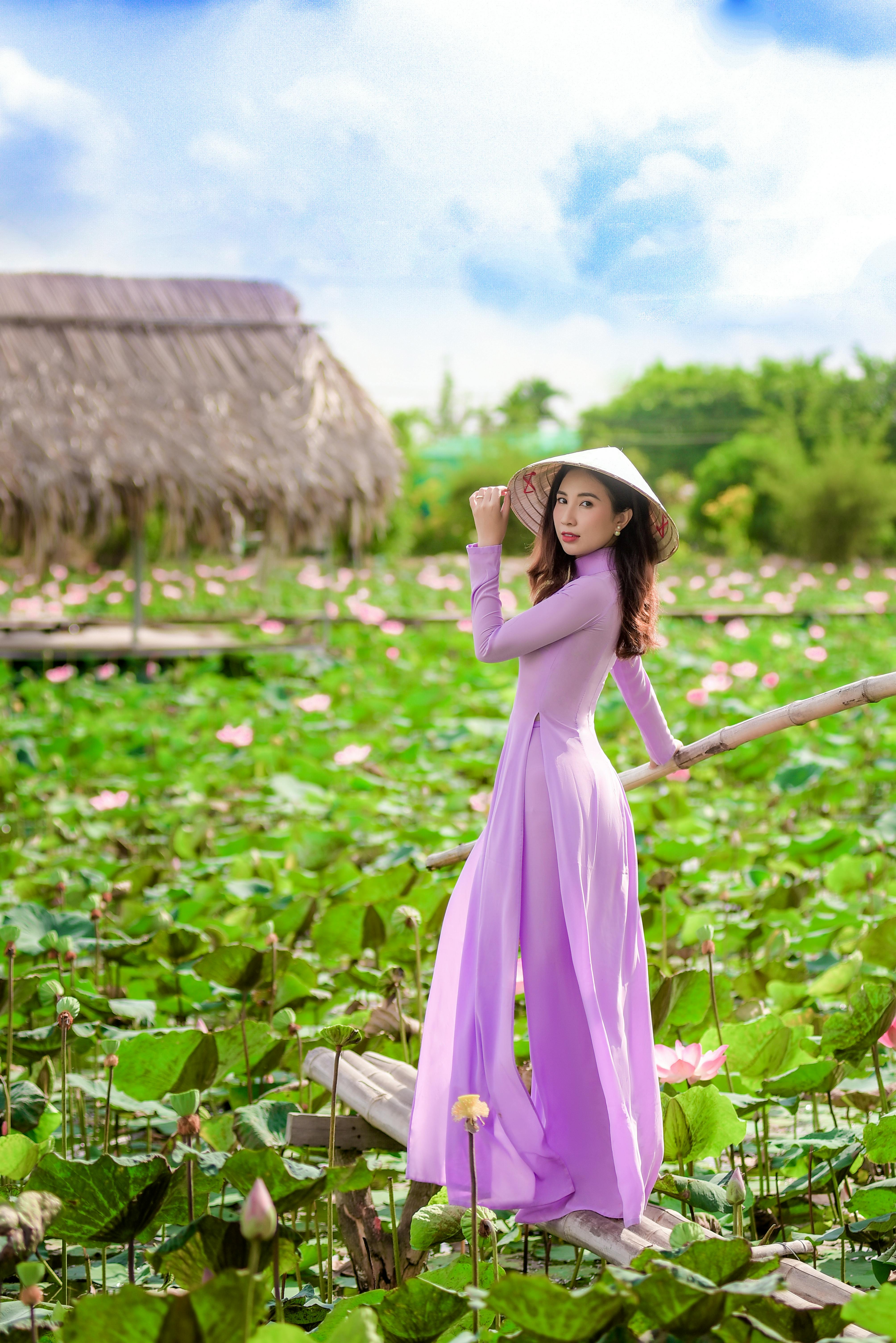 Lotus Stands Photos, Download The BEST Free Lotus Stands Stock Photos ...