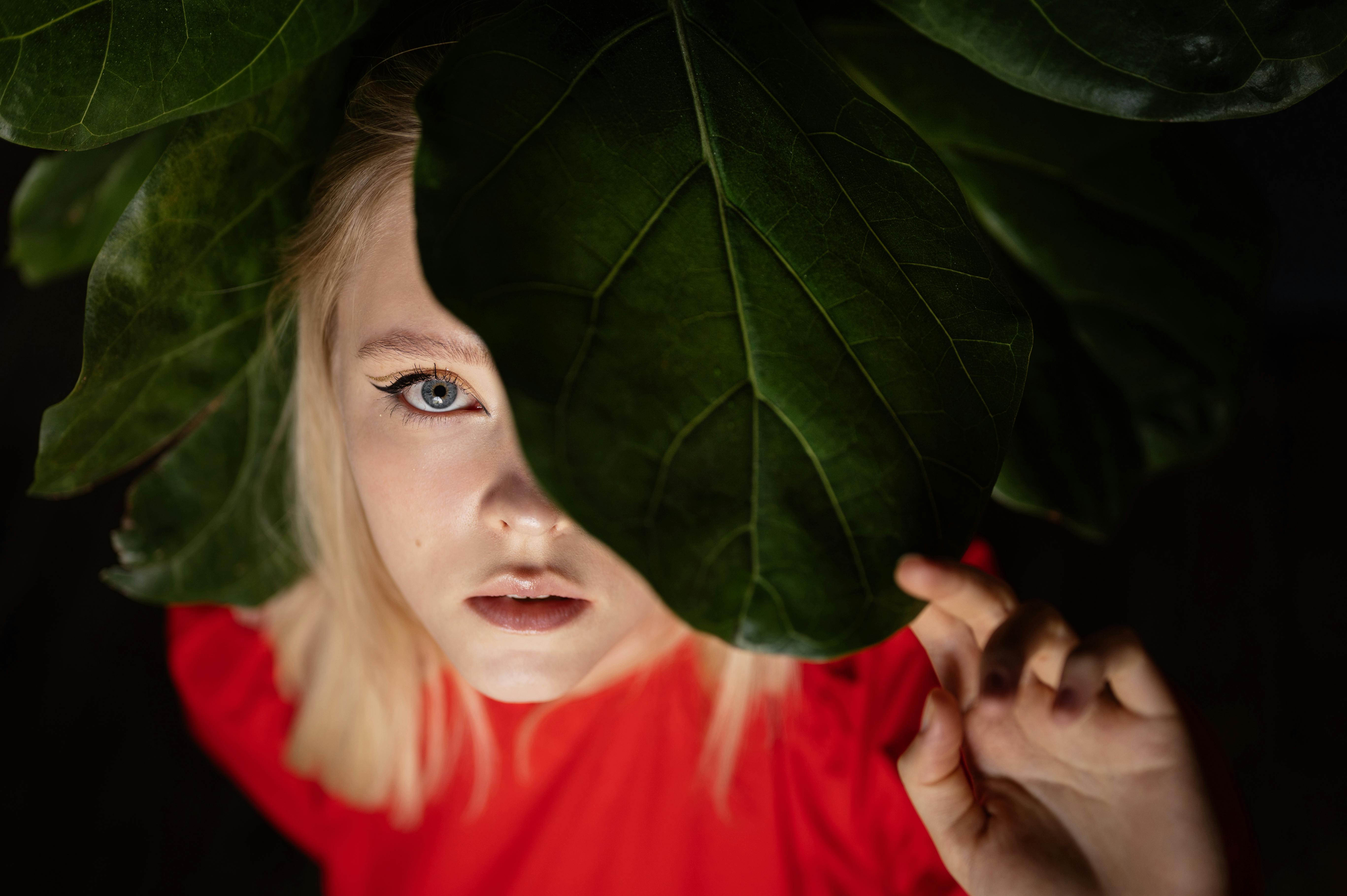 Woman Left Eye · Free Stock Photo
