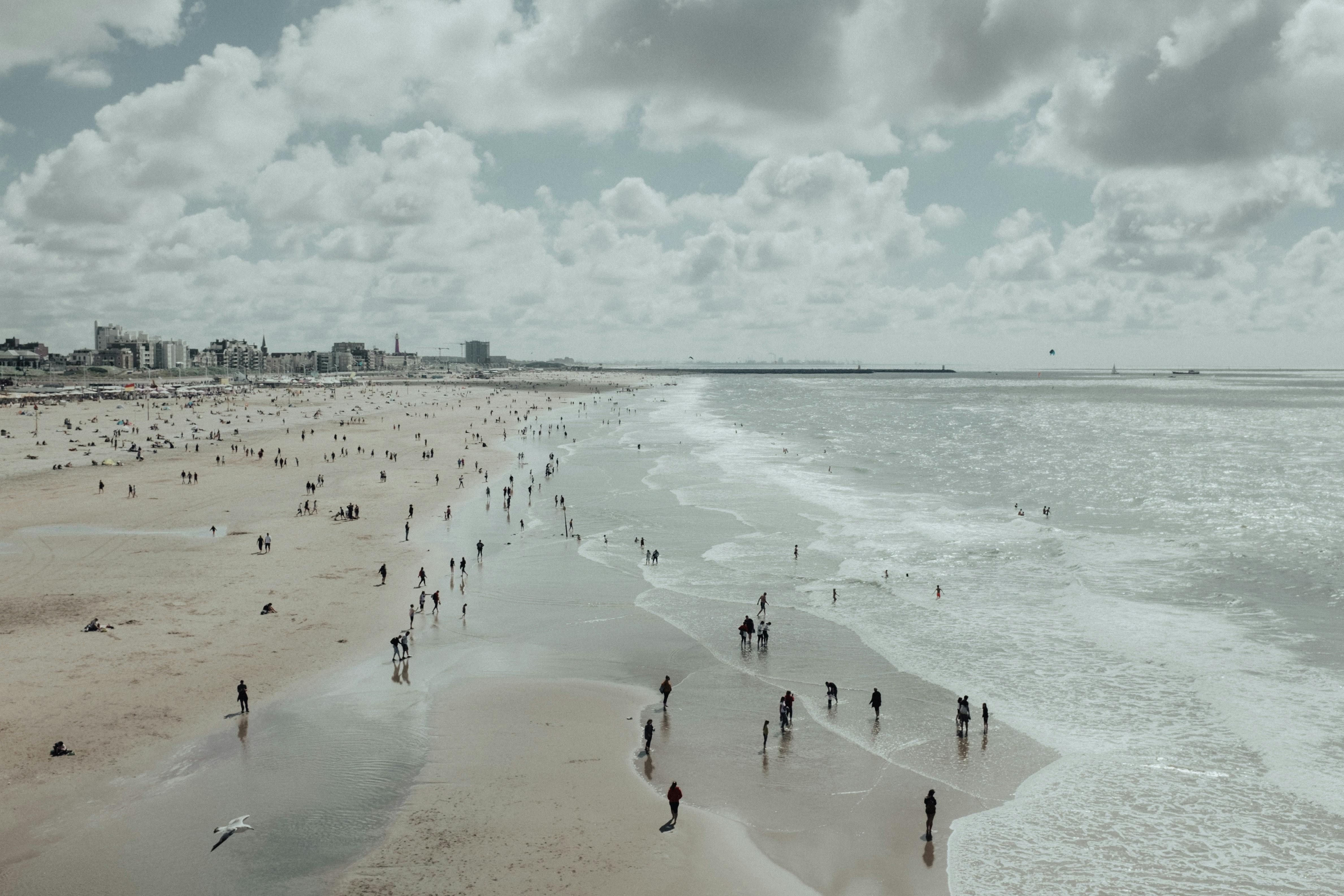 People at the Beach · Free Stock Photo