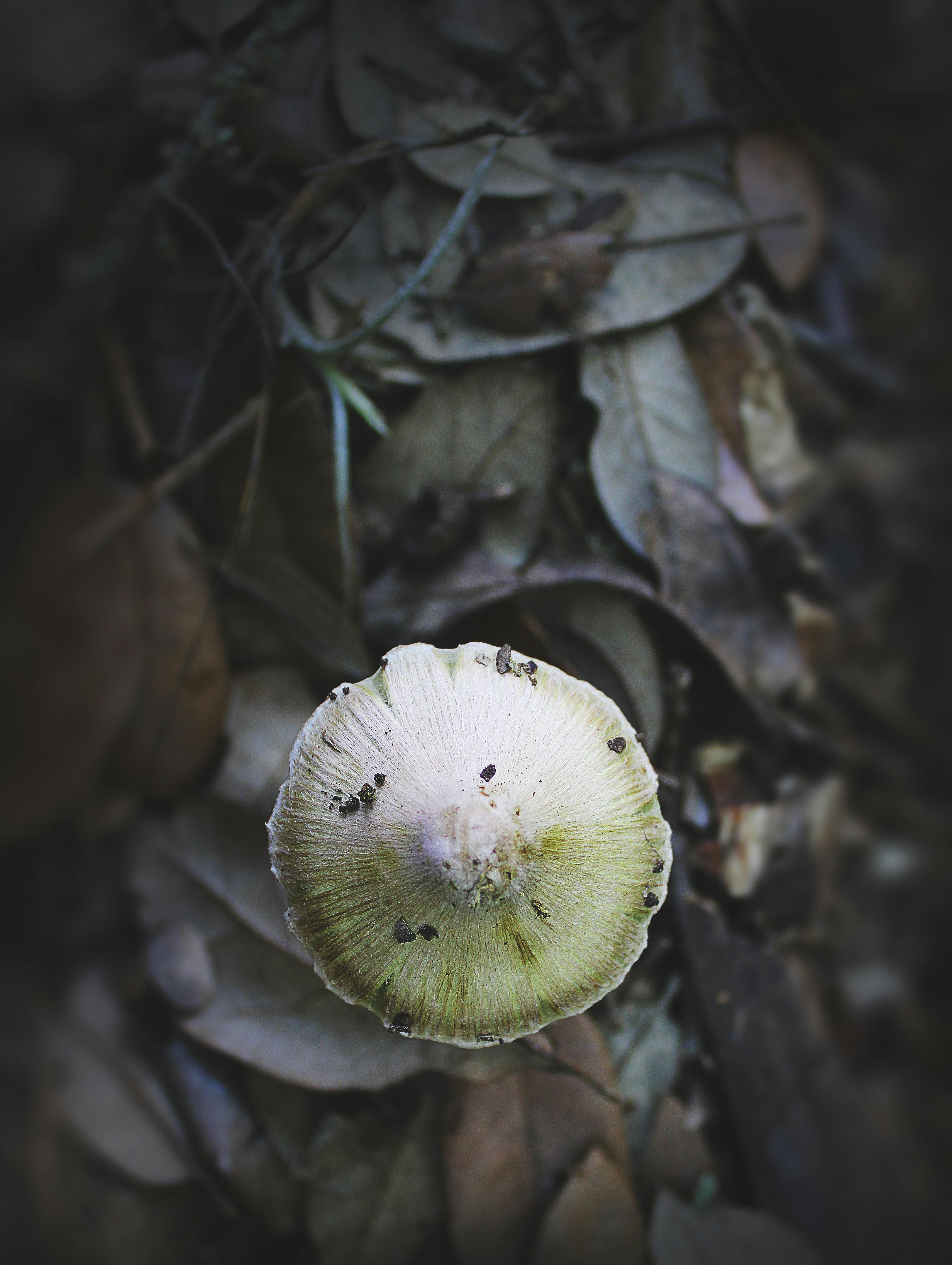 Terry Hahn - Photography