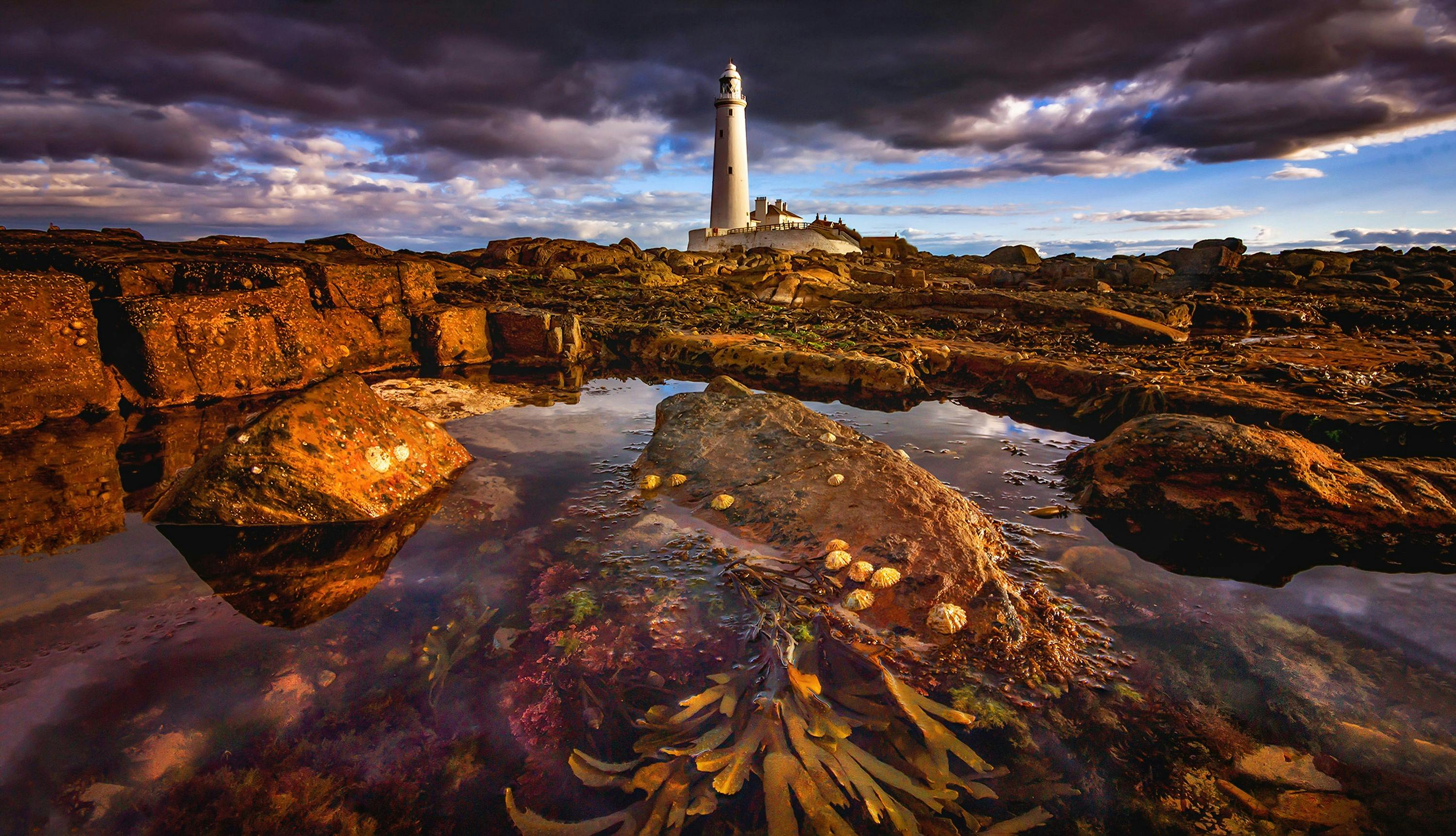 Brown Lighthouse · Free Stock Photo