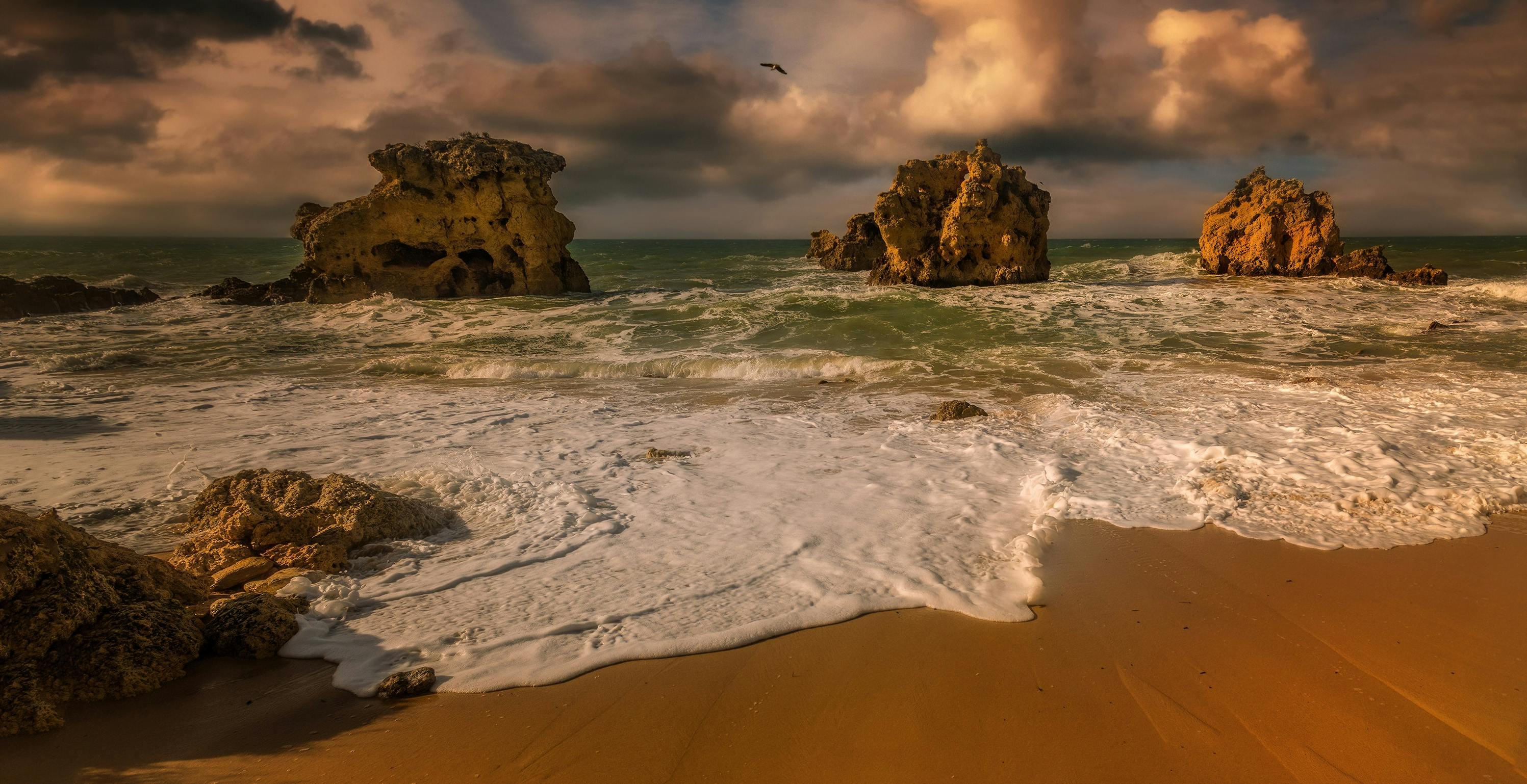 A Rock Formation on the Beach · Free Stock Photo