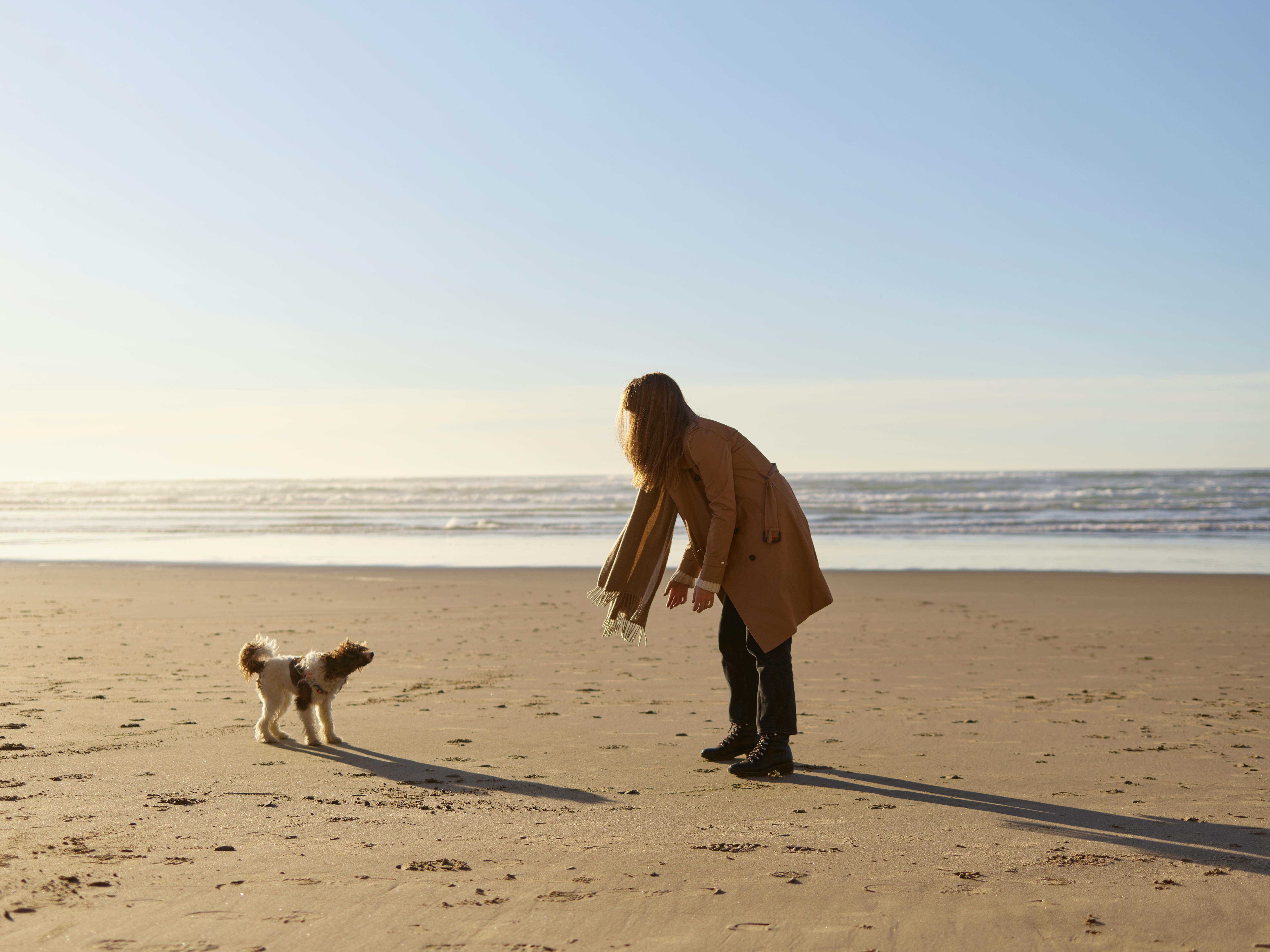 A Person and Dog Having Fun at the Beach · Free Stock Photo
