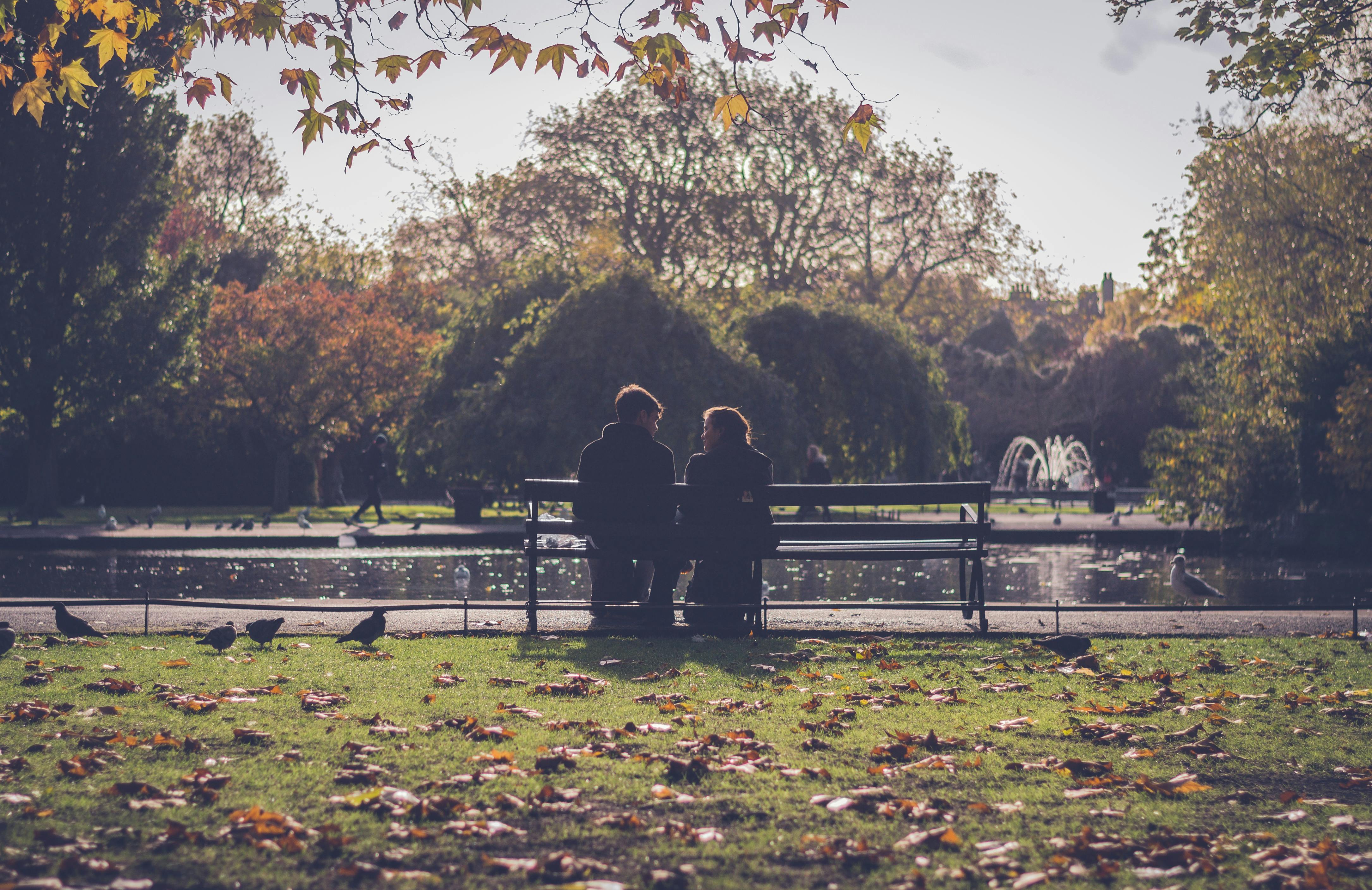 Photography of People Sitting on Bench · Free Stock Photo