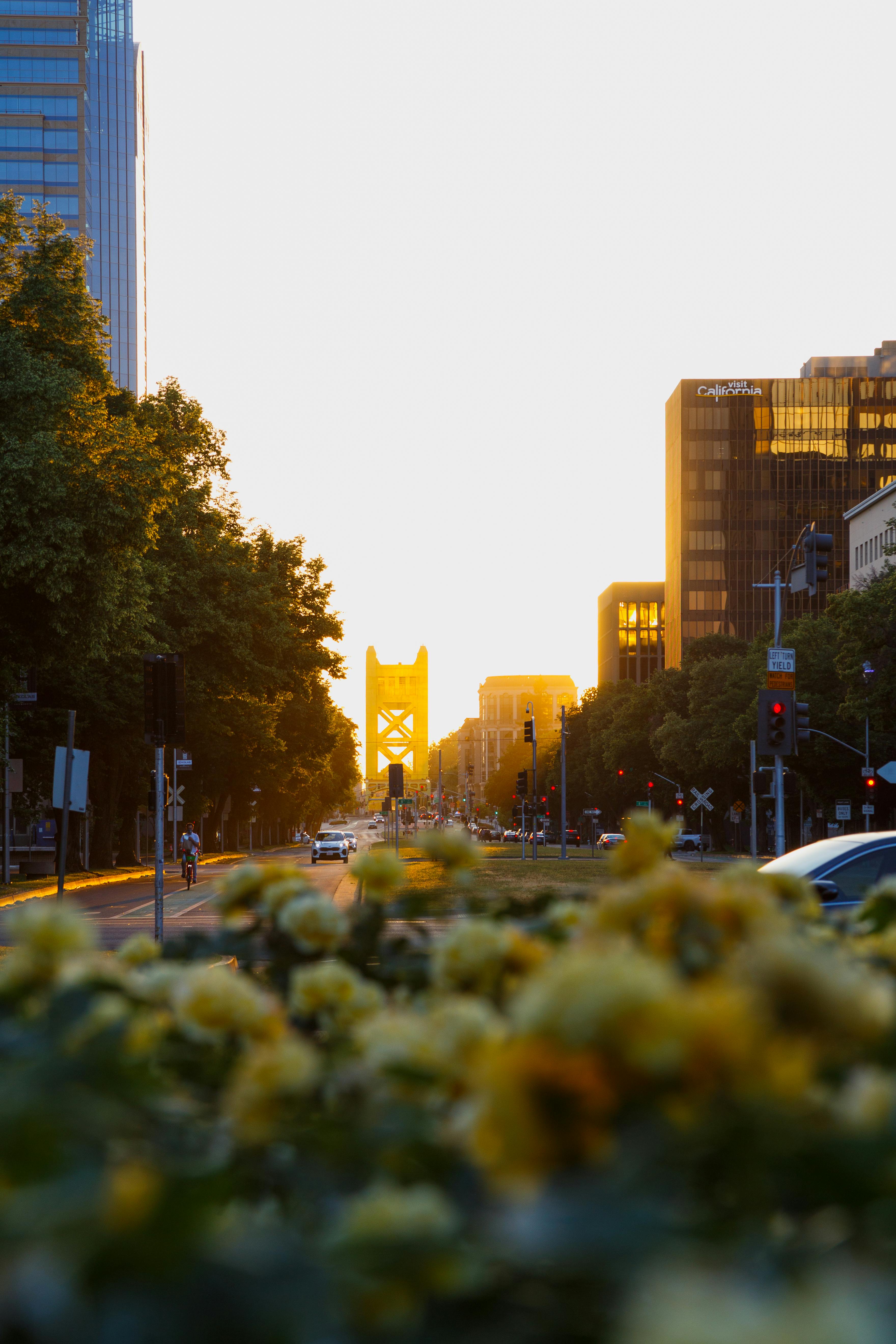 Sunlight on Clear Sky over Street · Free Stock Photo