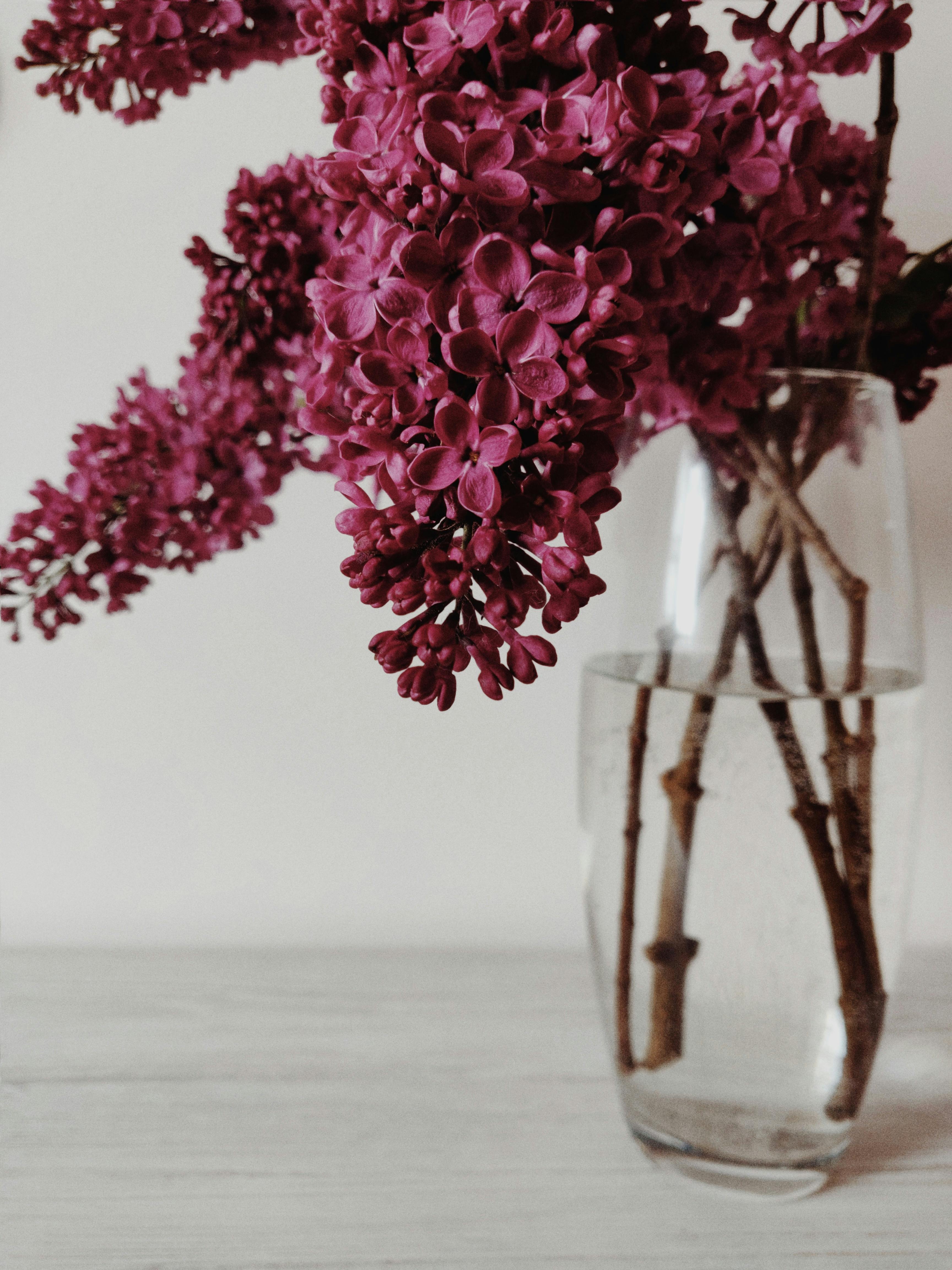 A Bunch of Lilac Flowers in a Flower Vase · Free Stock Photo