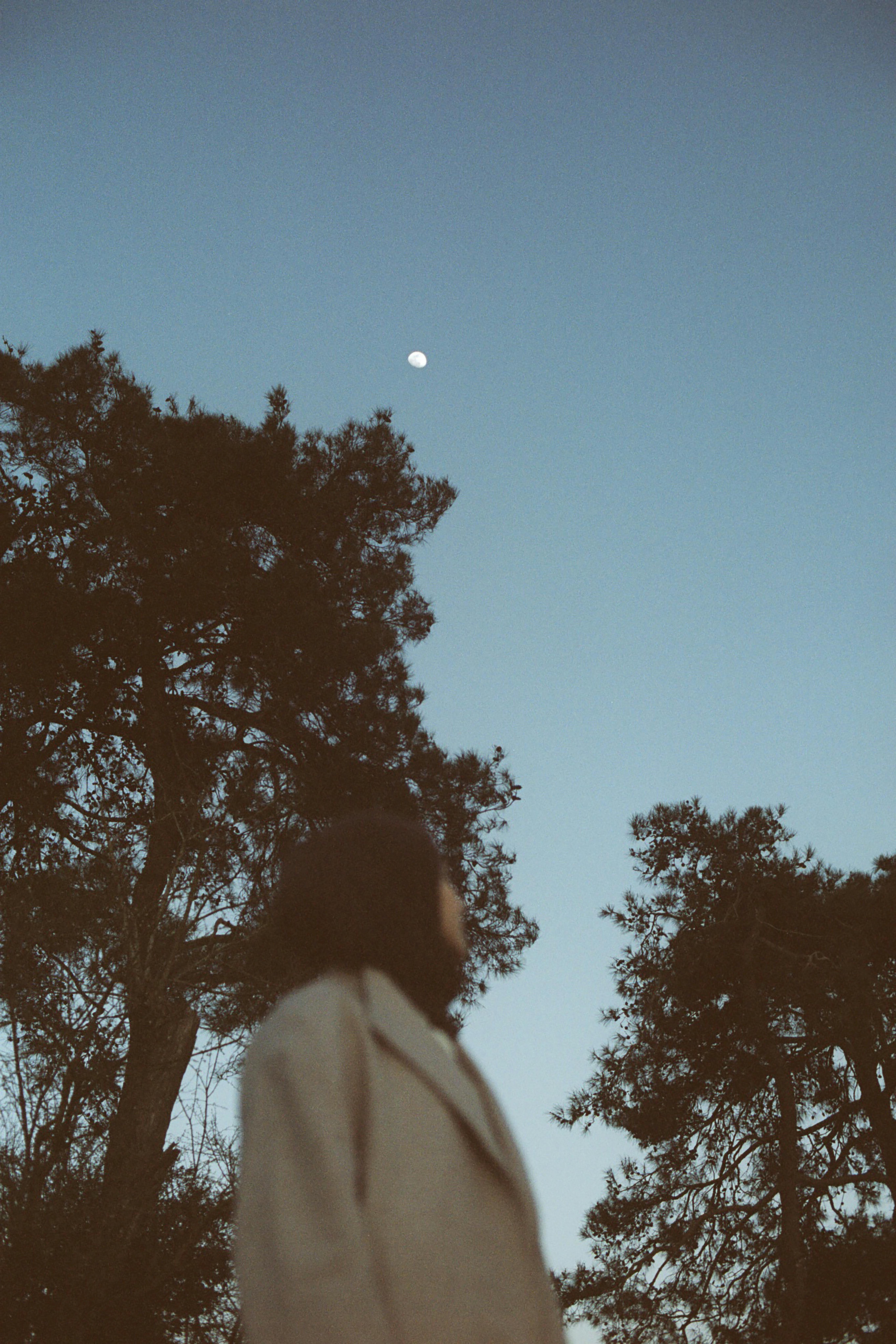 Low Angle Shot of a Girl Looking Up · Free Stock Photo
