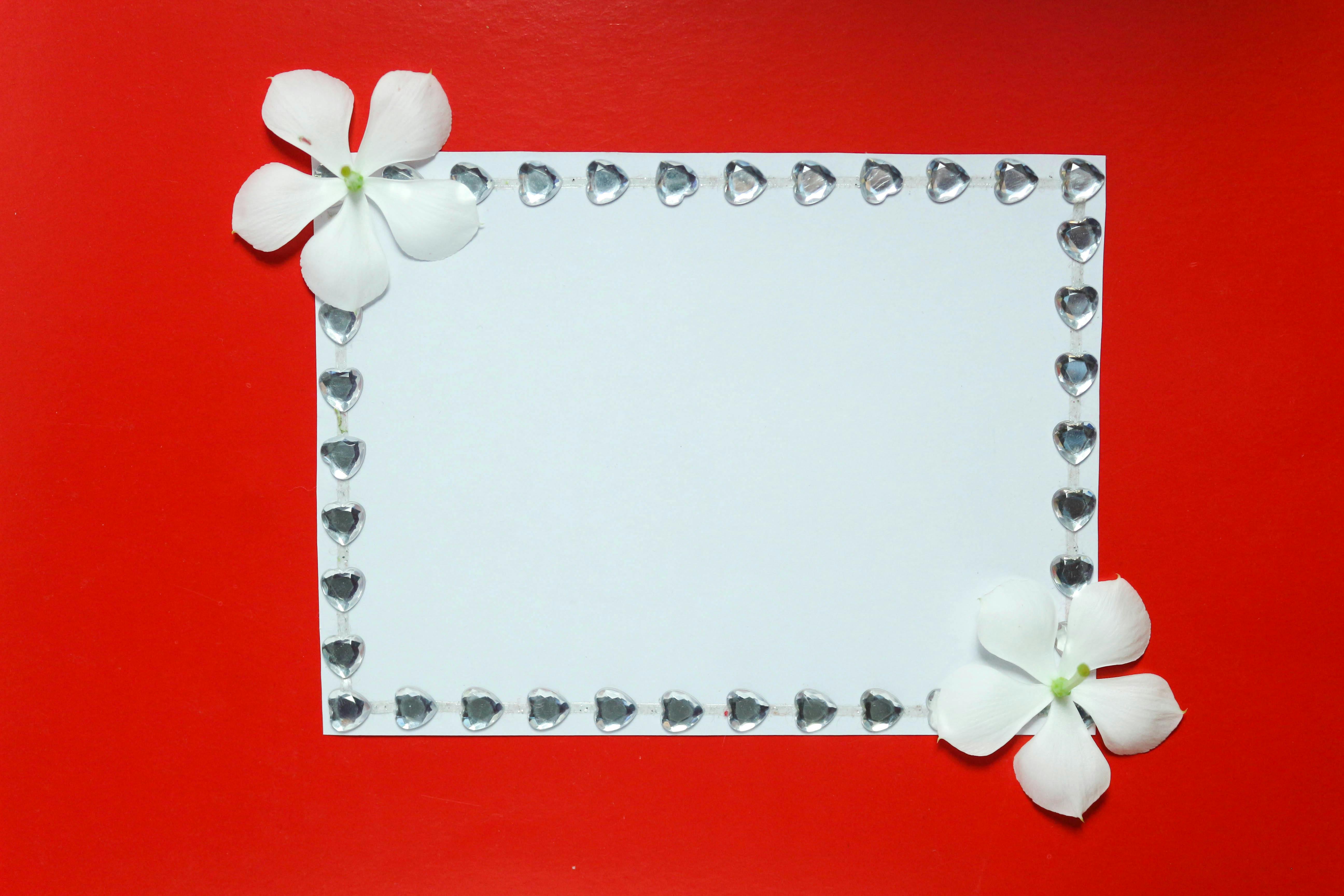 Frame and Flowers on a Card · Free Stock Photo