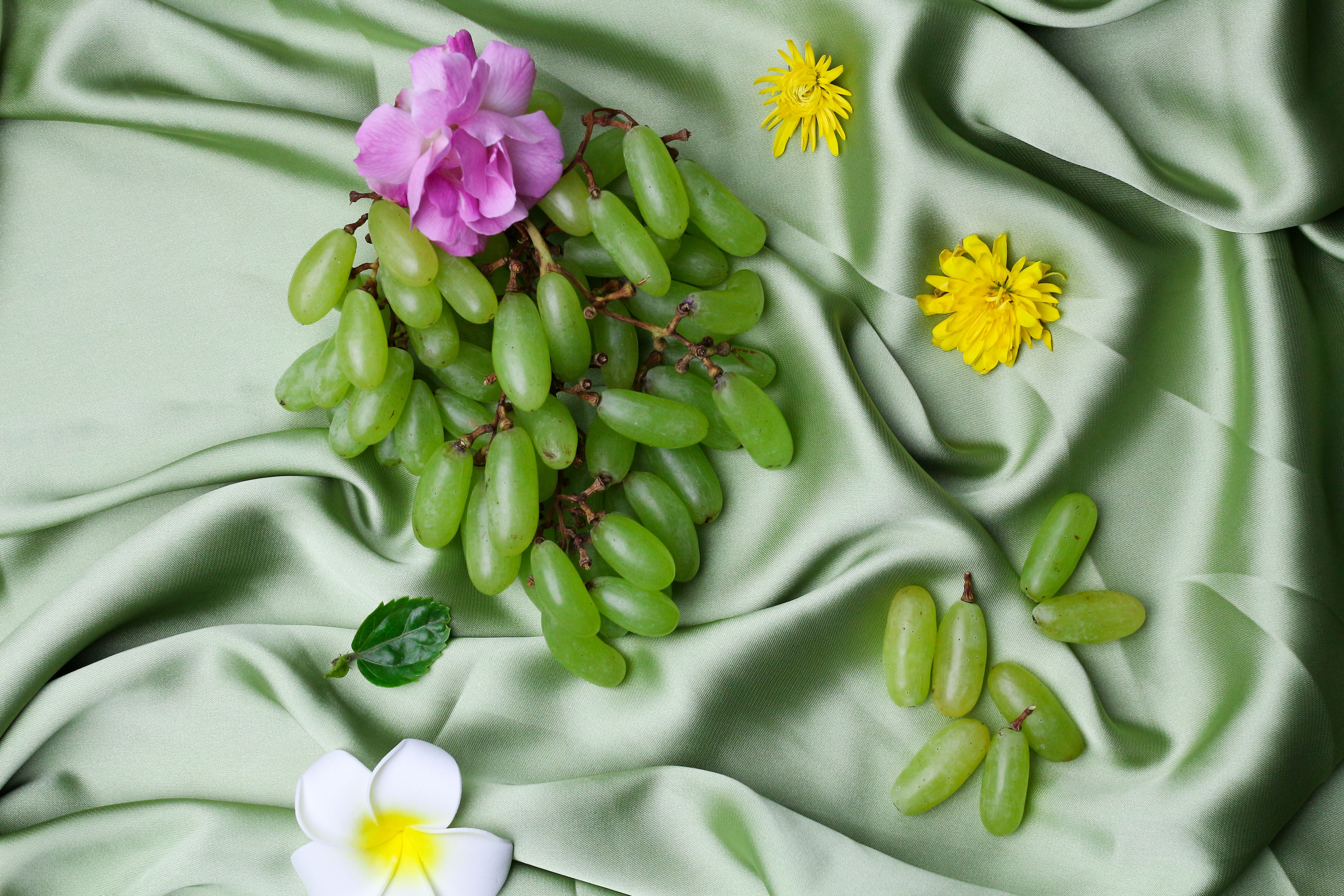 Fruit and Flowers on a Silk Fabric · Free Stock Photo
