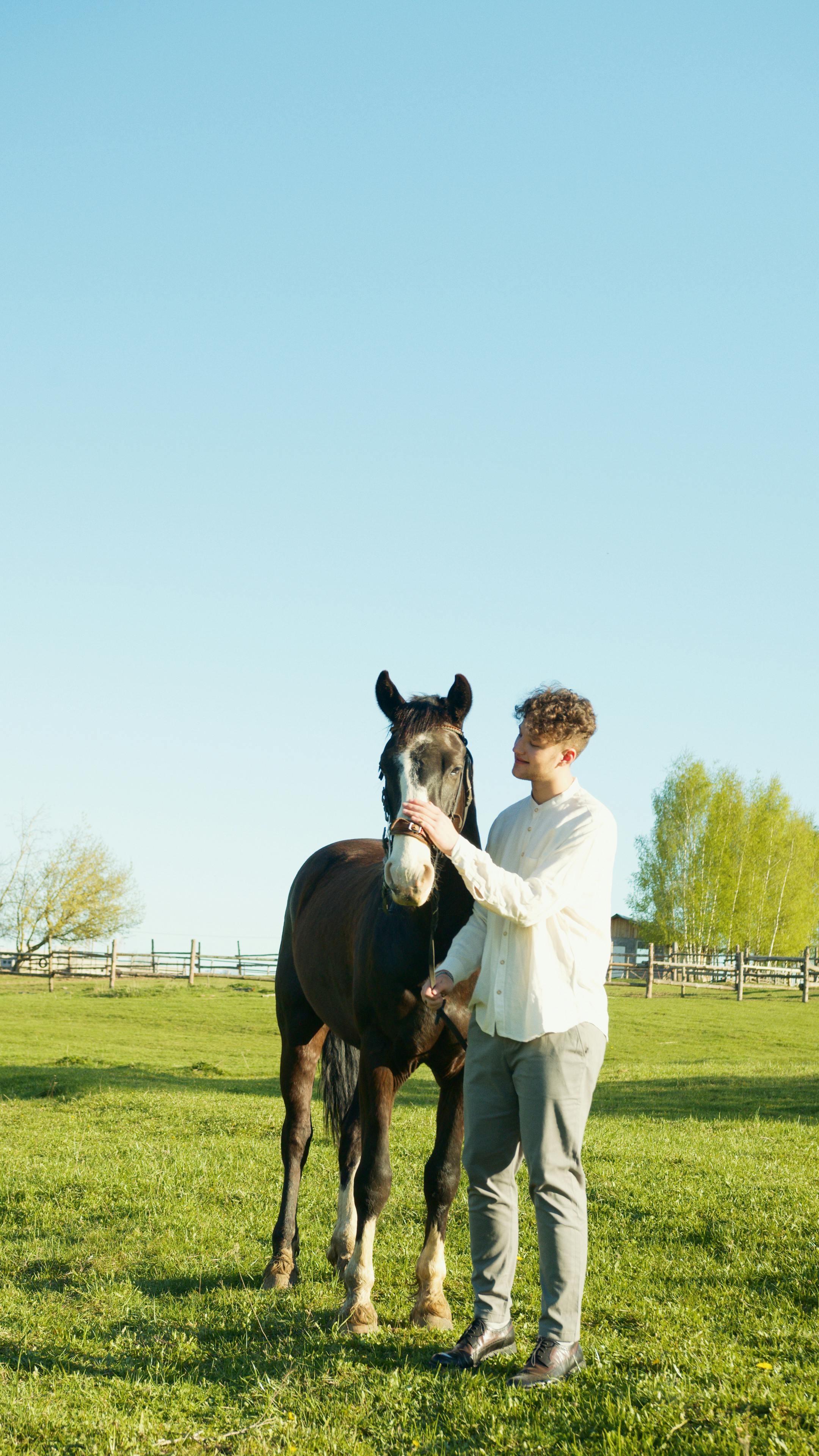 A Man Holding a Horse · Free Stock Photo