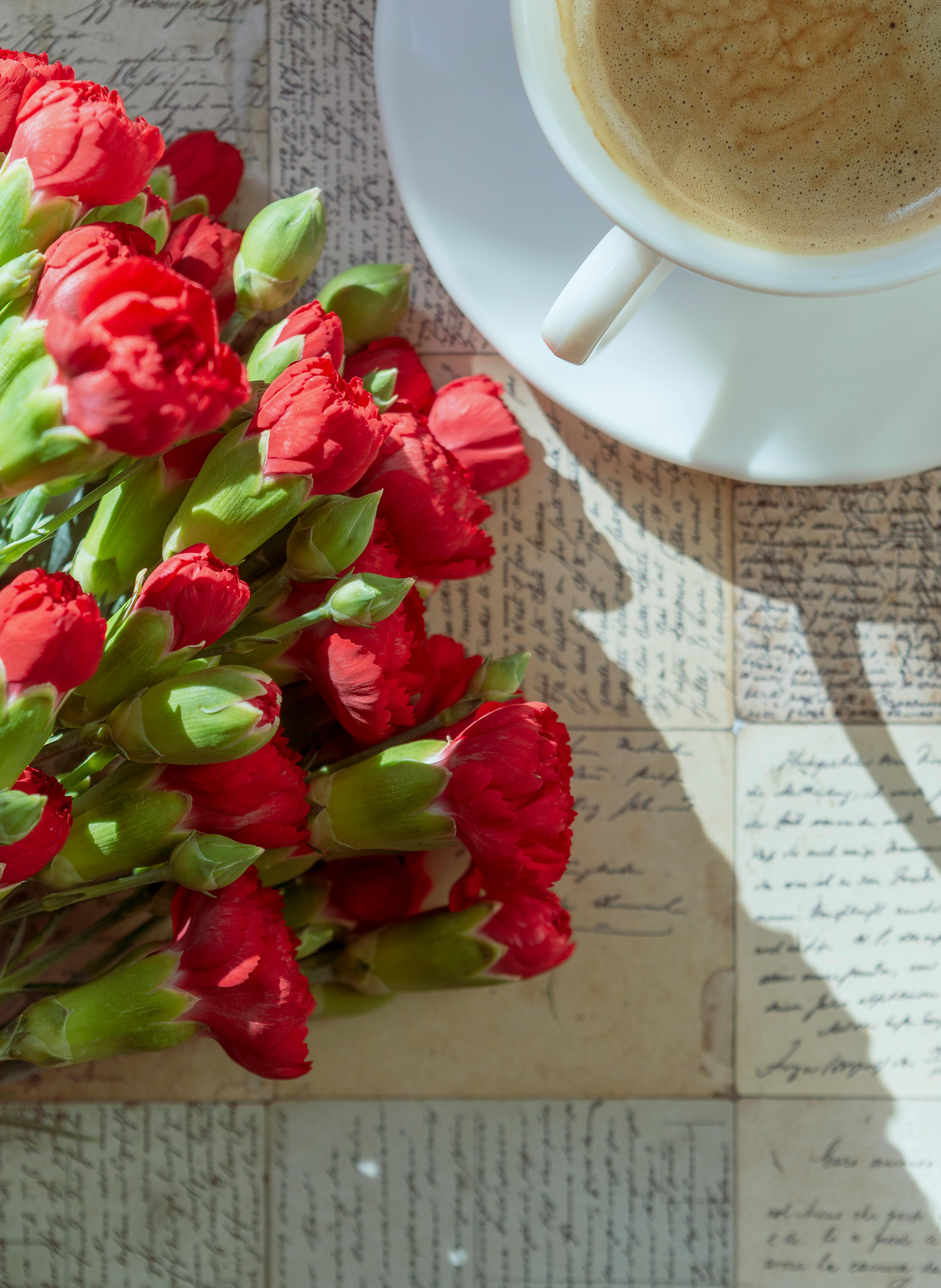 Red Flowers on the Table · Free Stock Photo