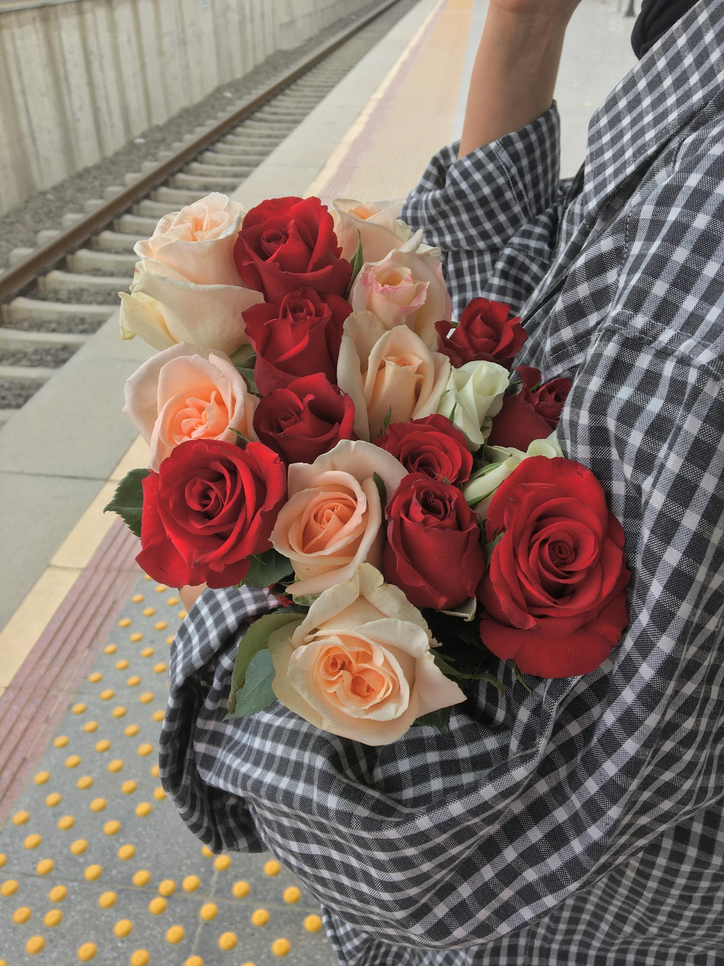 Person holding Roses · Free Stock Photo