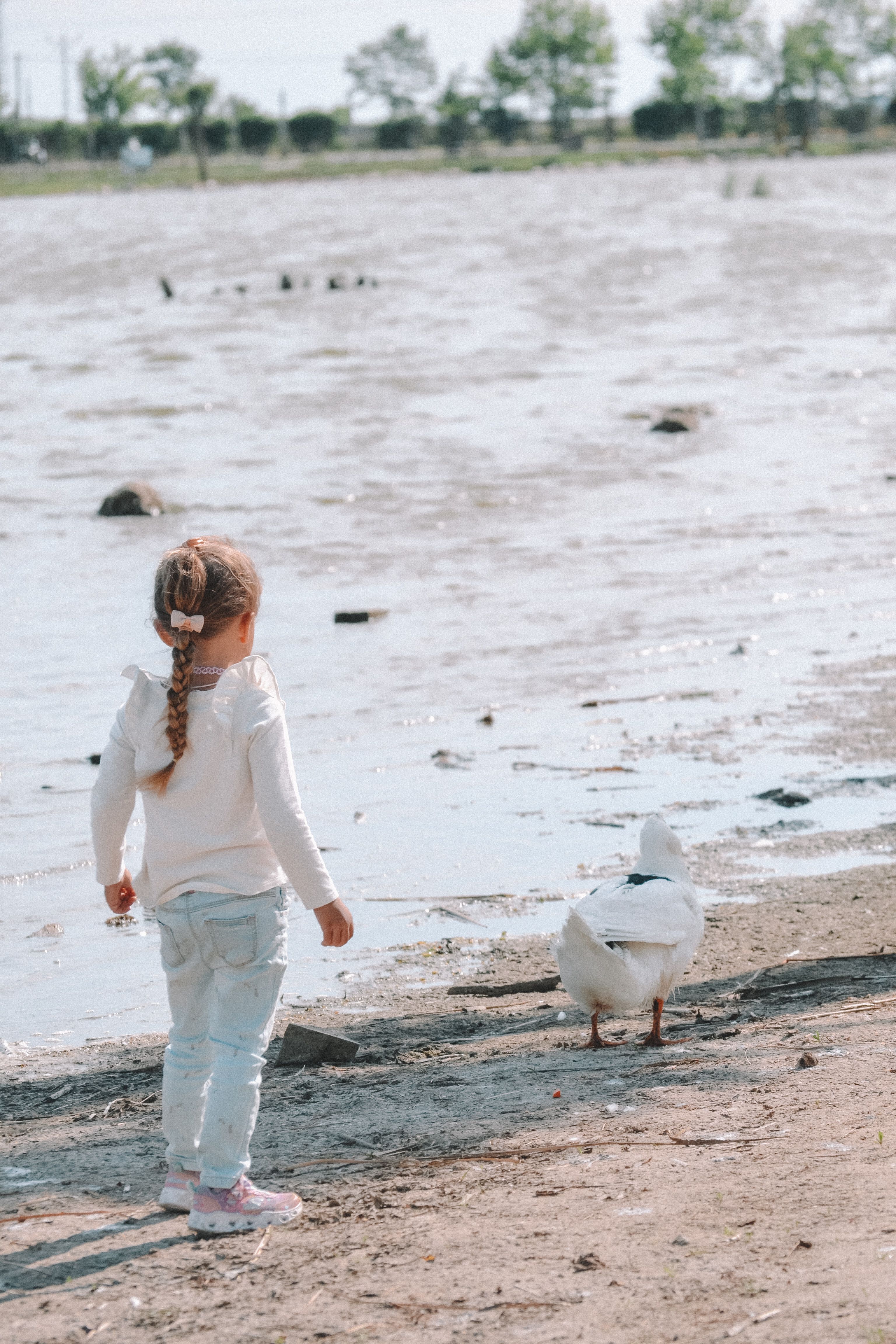Girl Looking at the Duck · Free Stock Photo