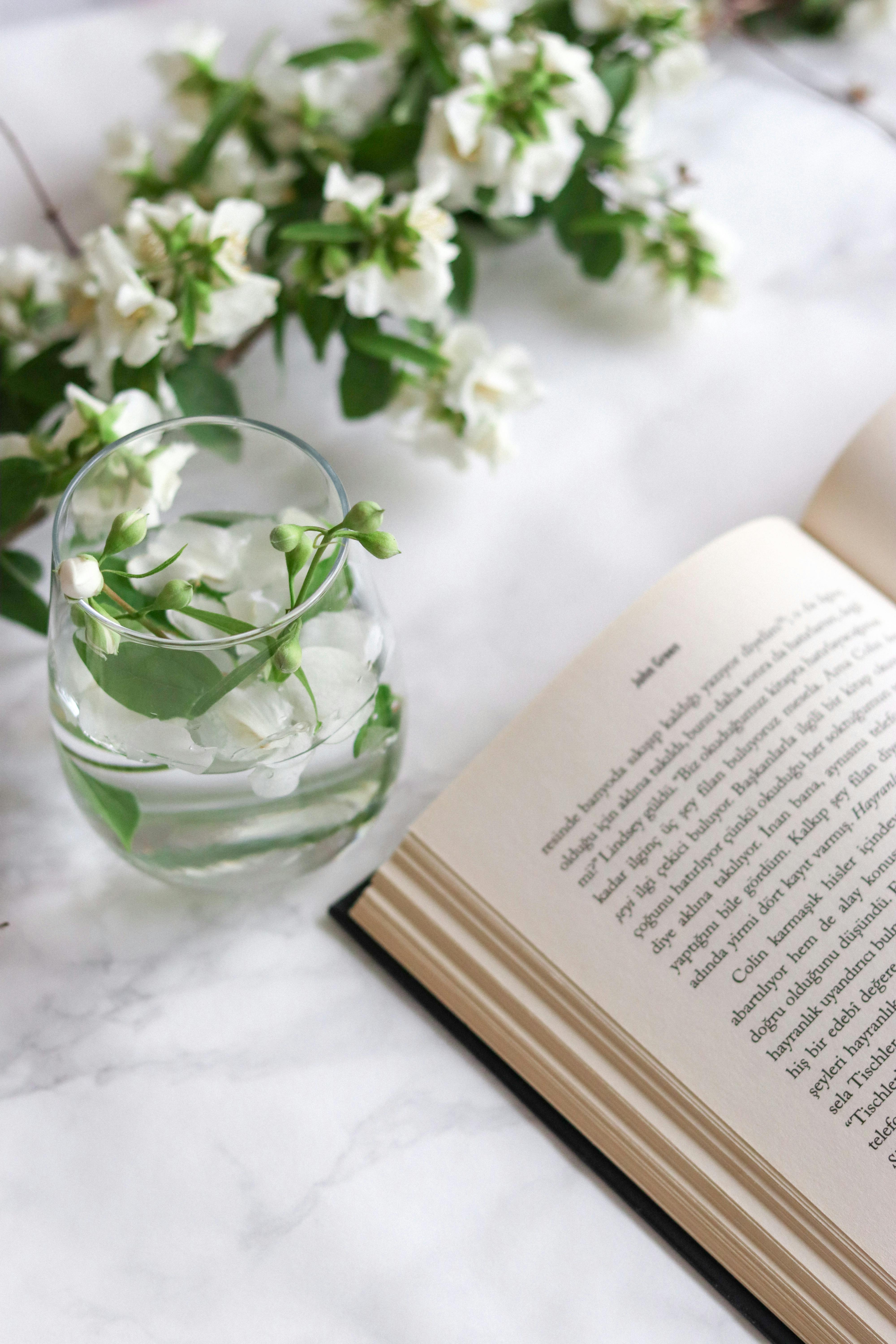 Flowers From A Book Photos, Download The BEST Free Flowers From A Book ...