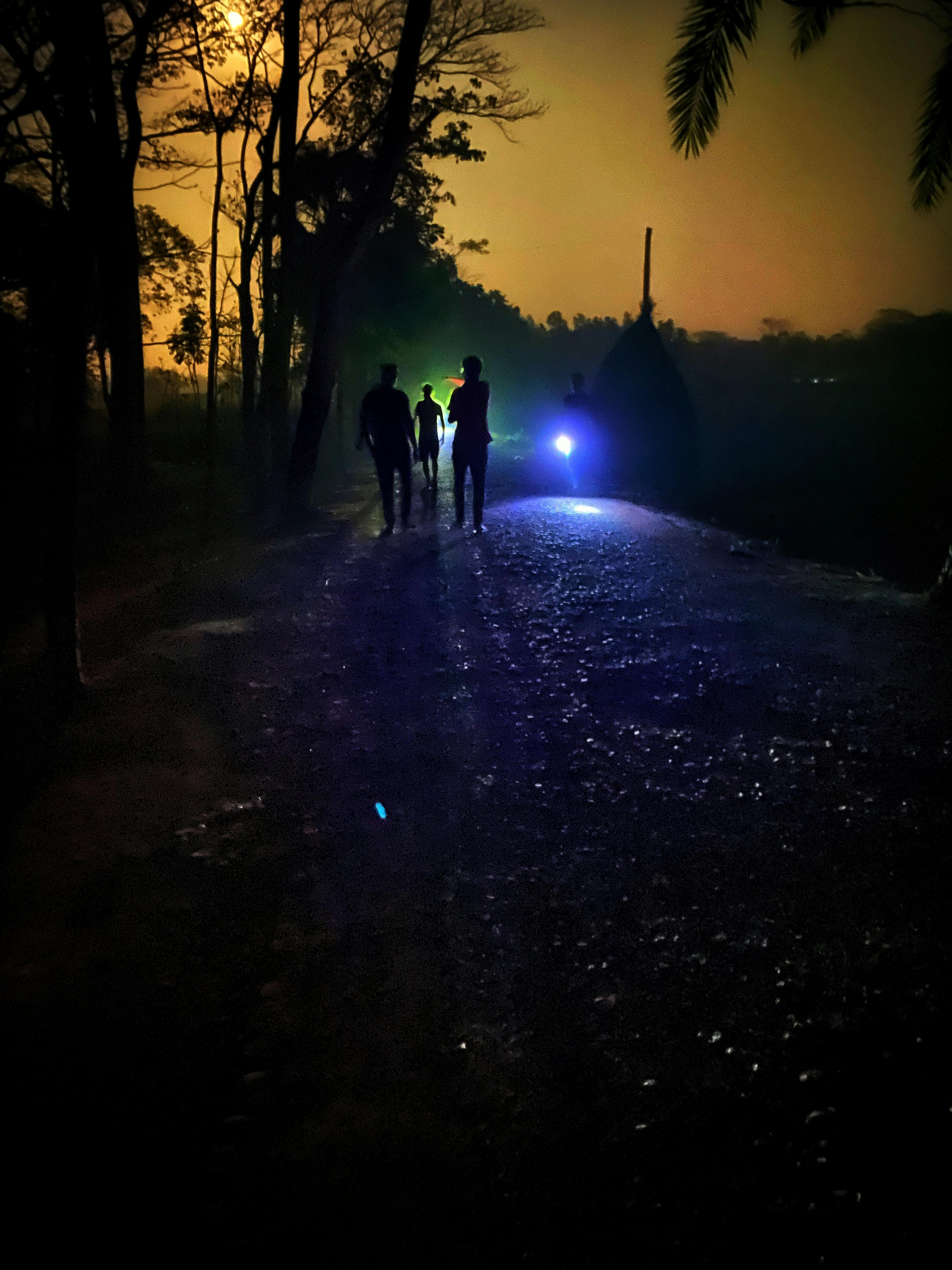 Farzana Afrin Tisha - 사진