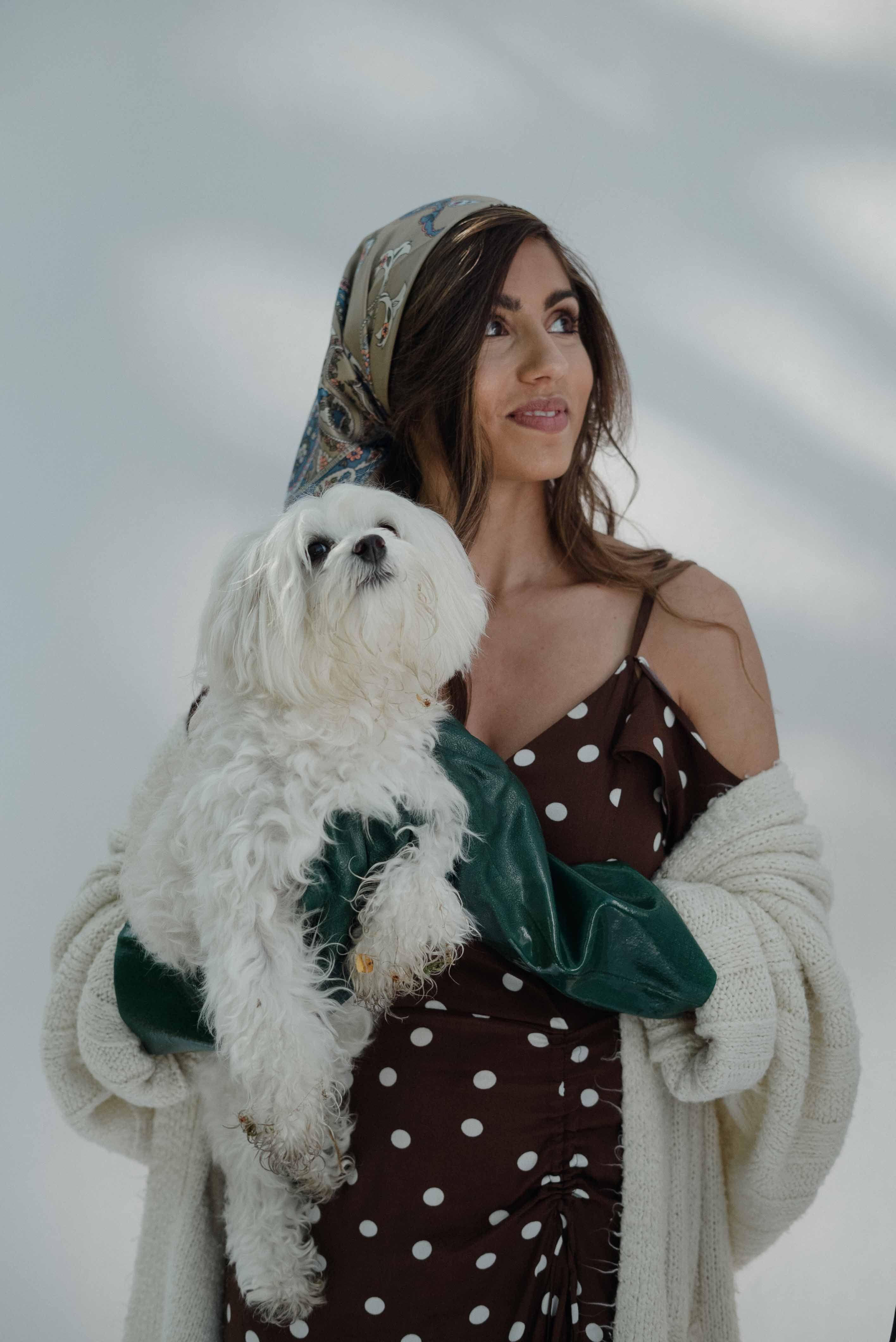 Woman Carrying a Dog on Her Arms · Free Stock Photo