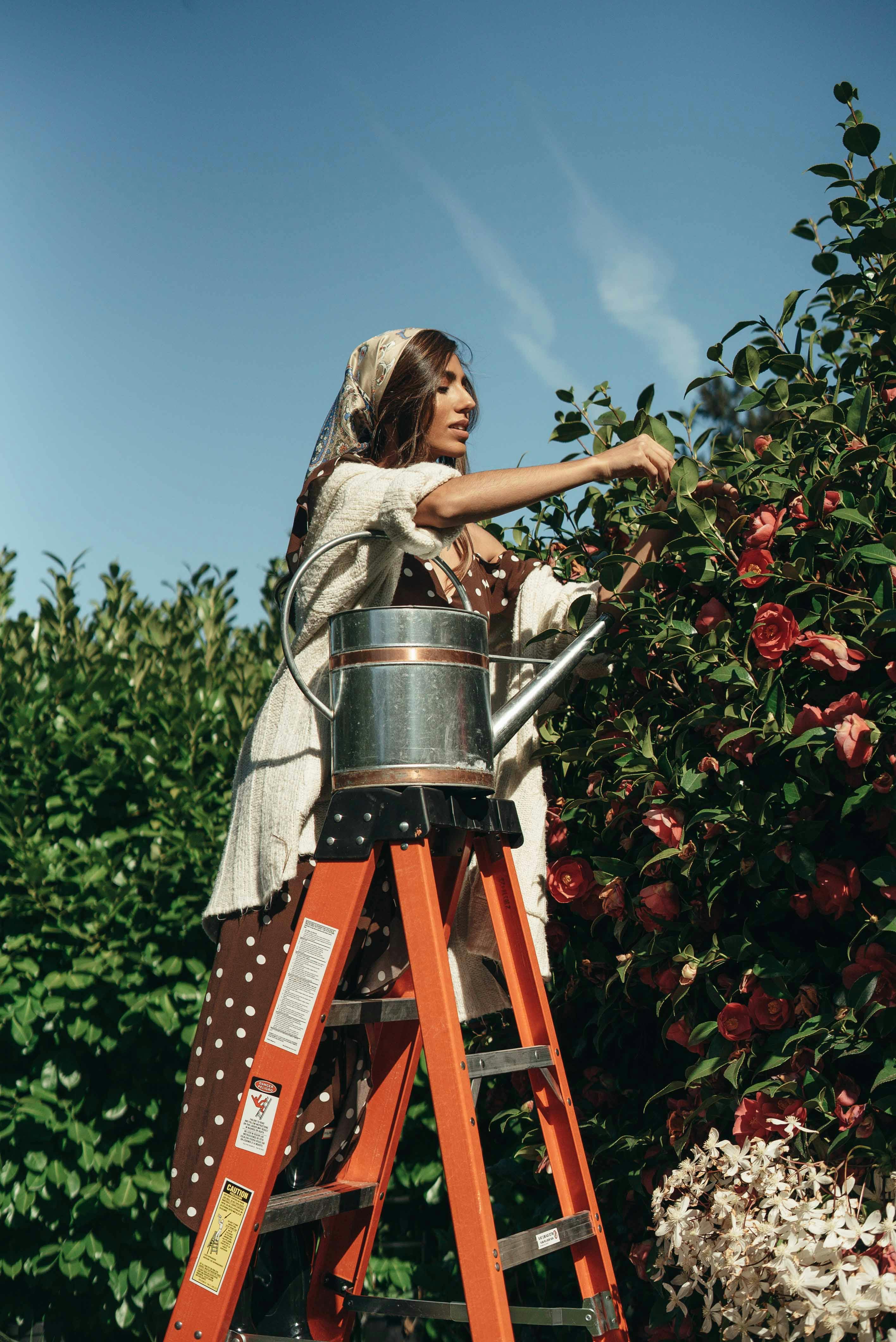 A Woman on a Ladder · Free Stock Photo