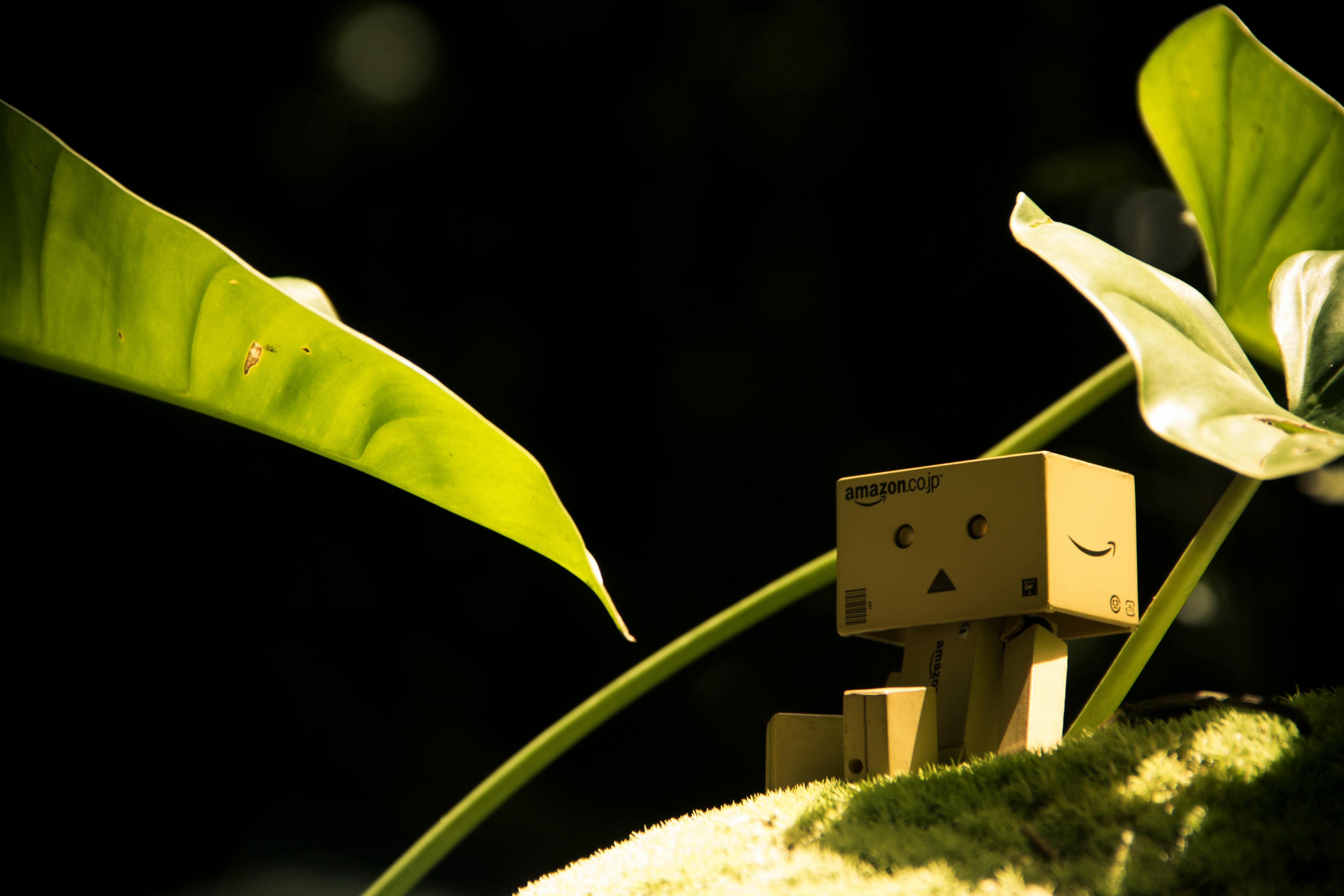 Brown Amazon Toy Box Sits on Green Grass · Free Stock Photo