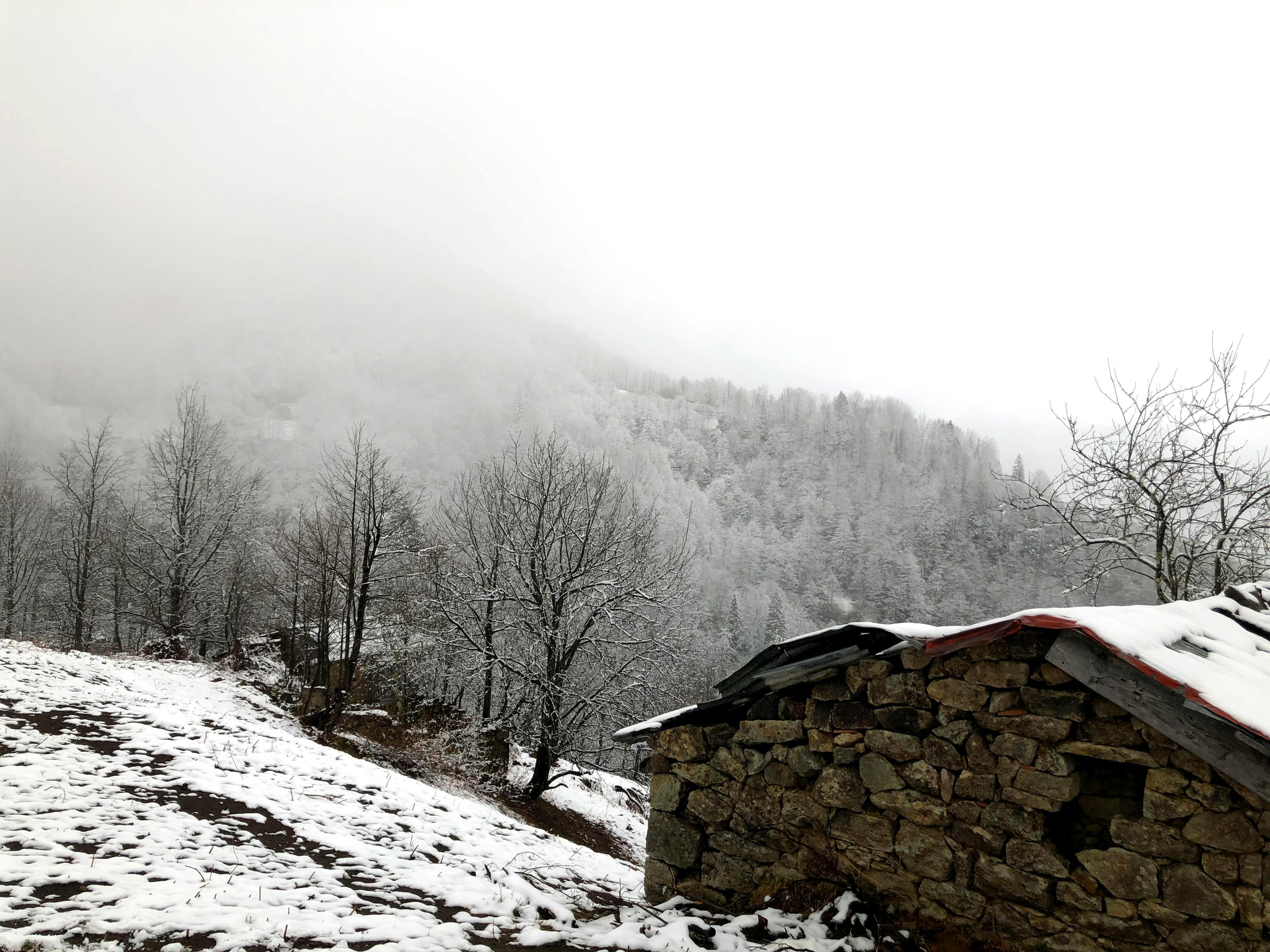 Stone Shack Photos, Download The BEST Free Stone Shack Stock Photos ...