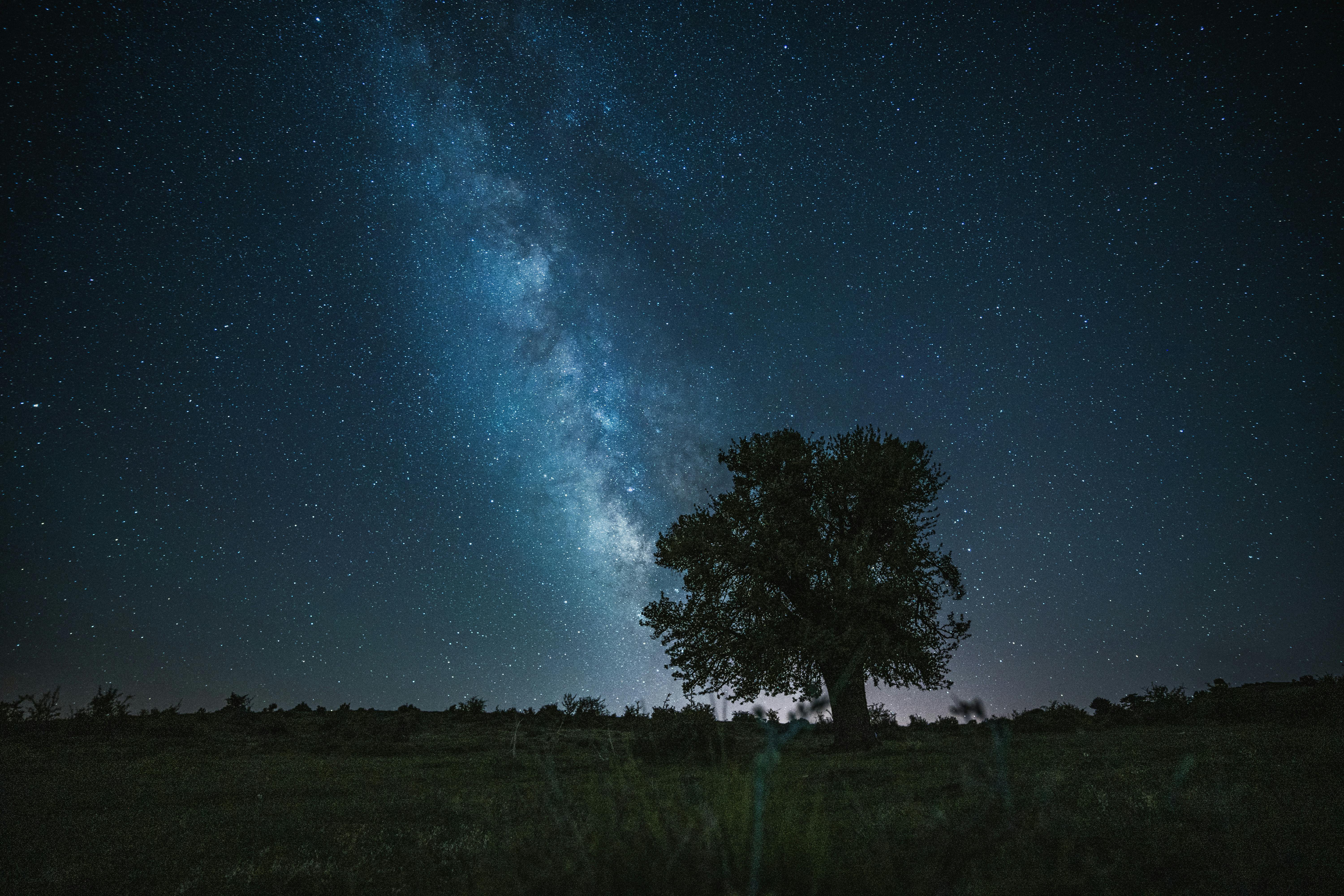 10,000+ Best Shooting Stars Photos · 100% Free Download · Pexels Stock ...
