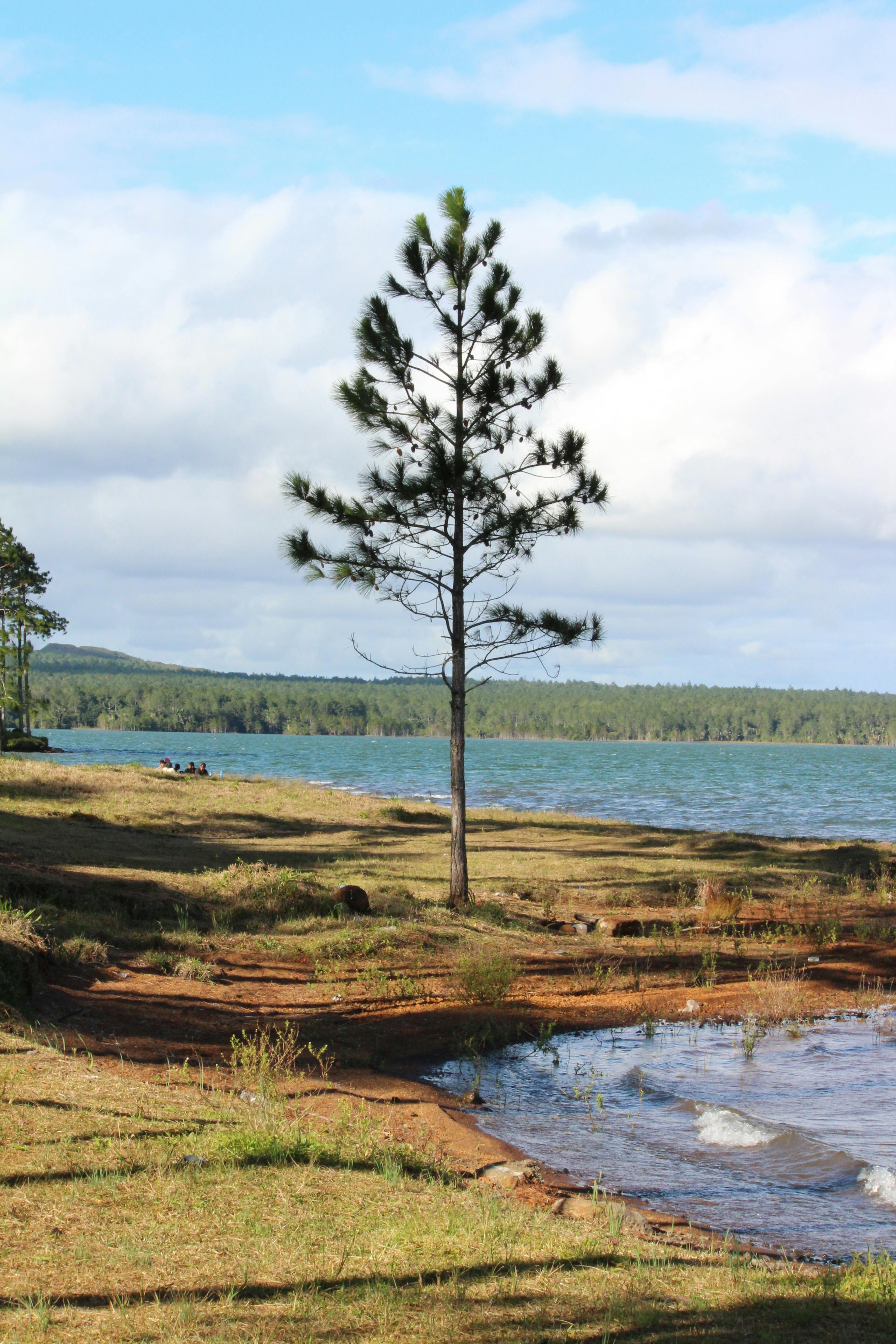 Divya Dwivedi - Photography