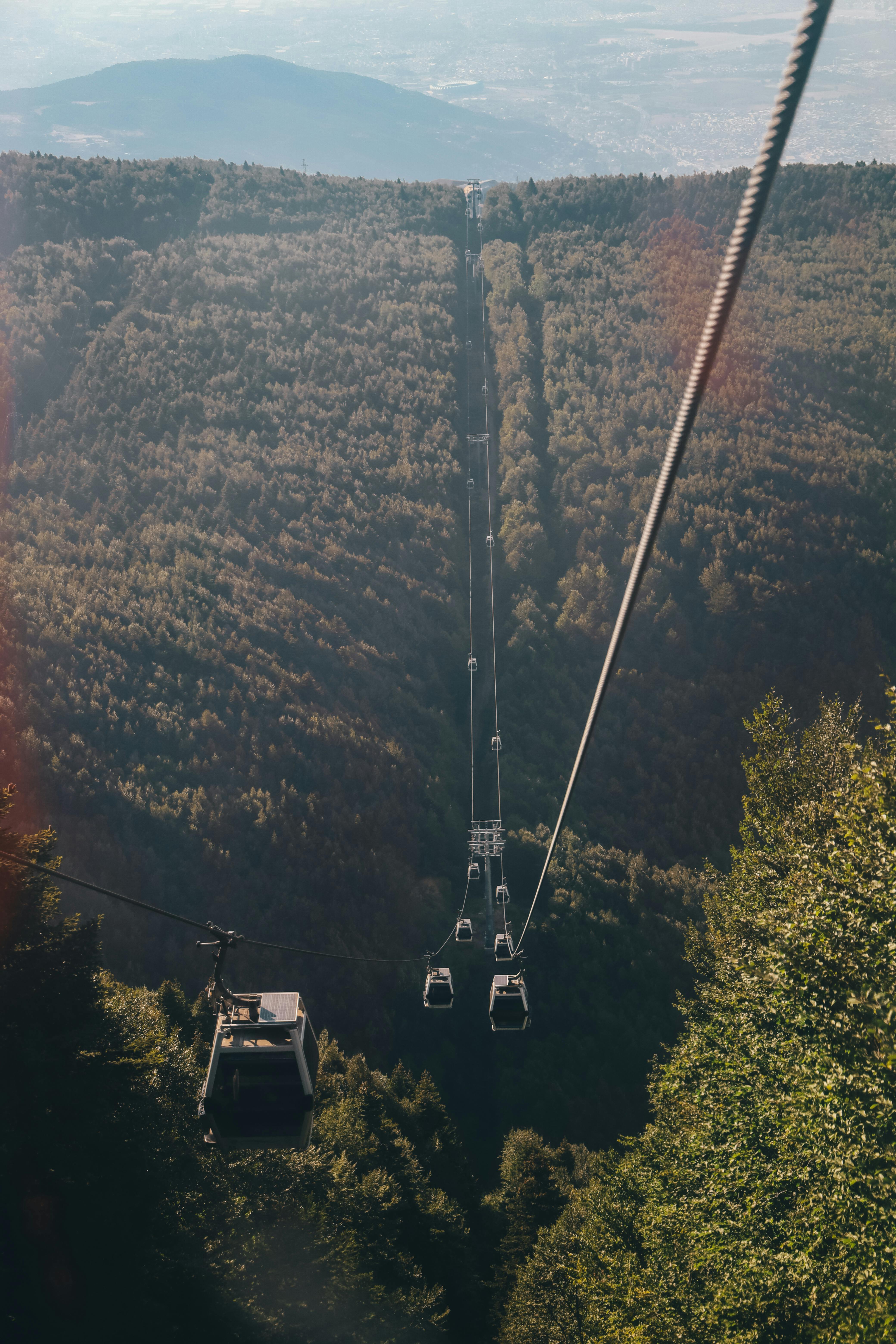 Cable Cars Passing a Forest · Free Stock Photo