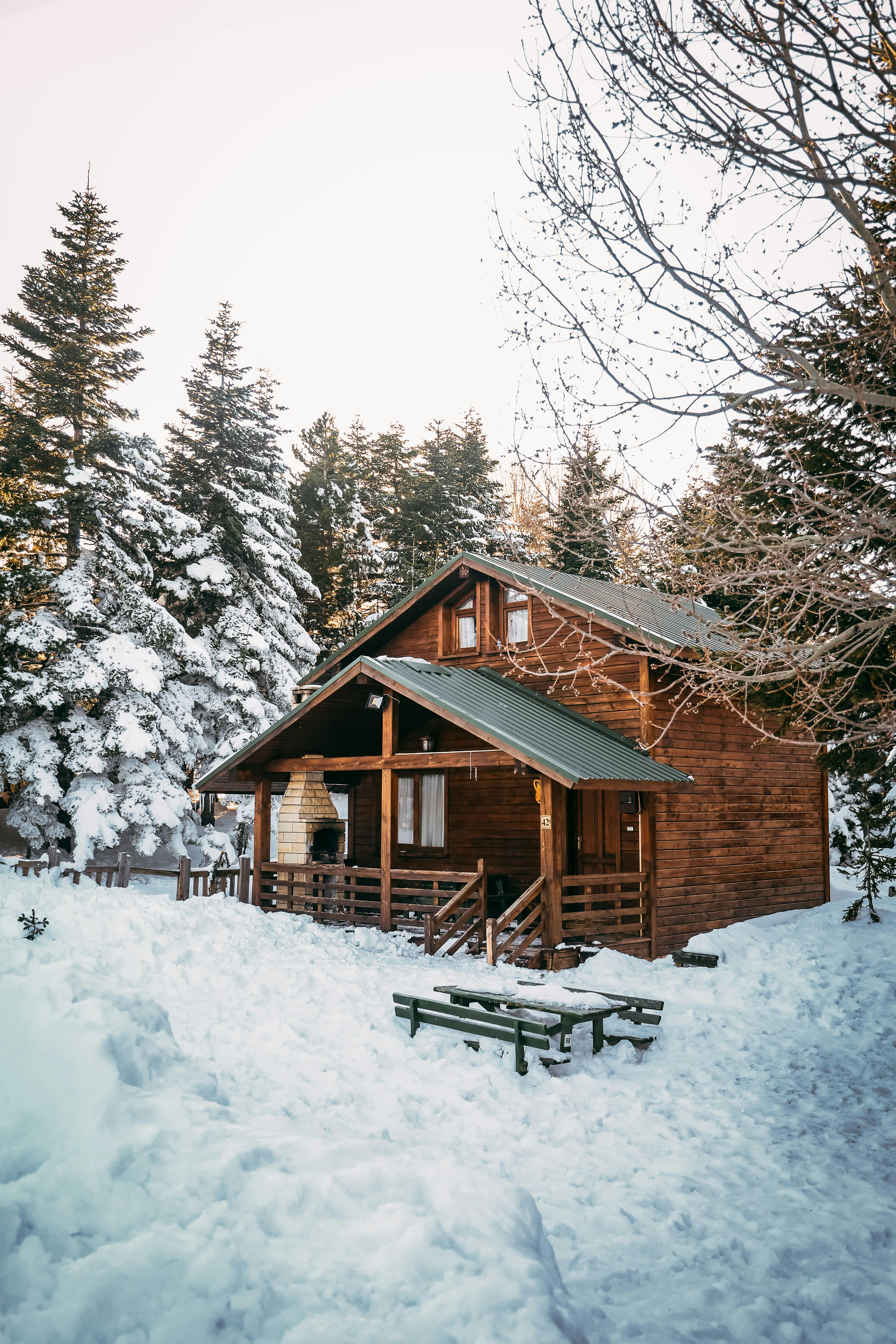 Winter landscape with wooden cottage in snowy forest · Free Stock Photo