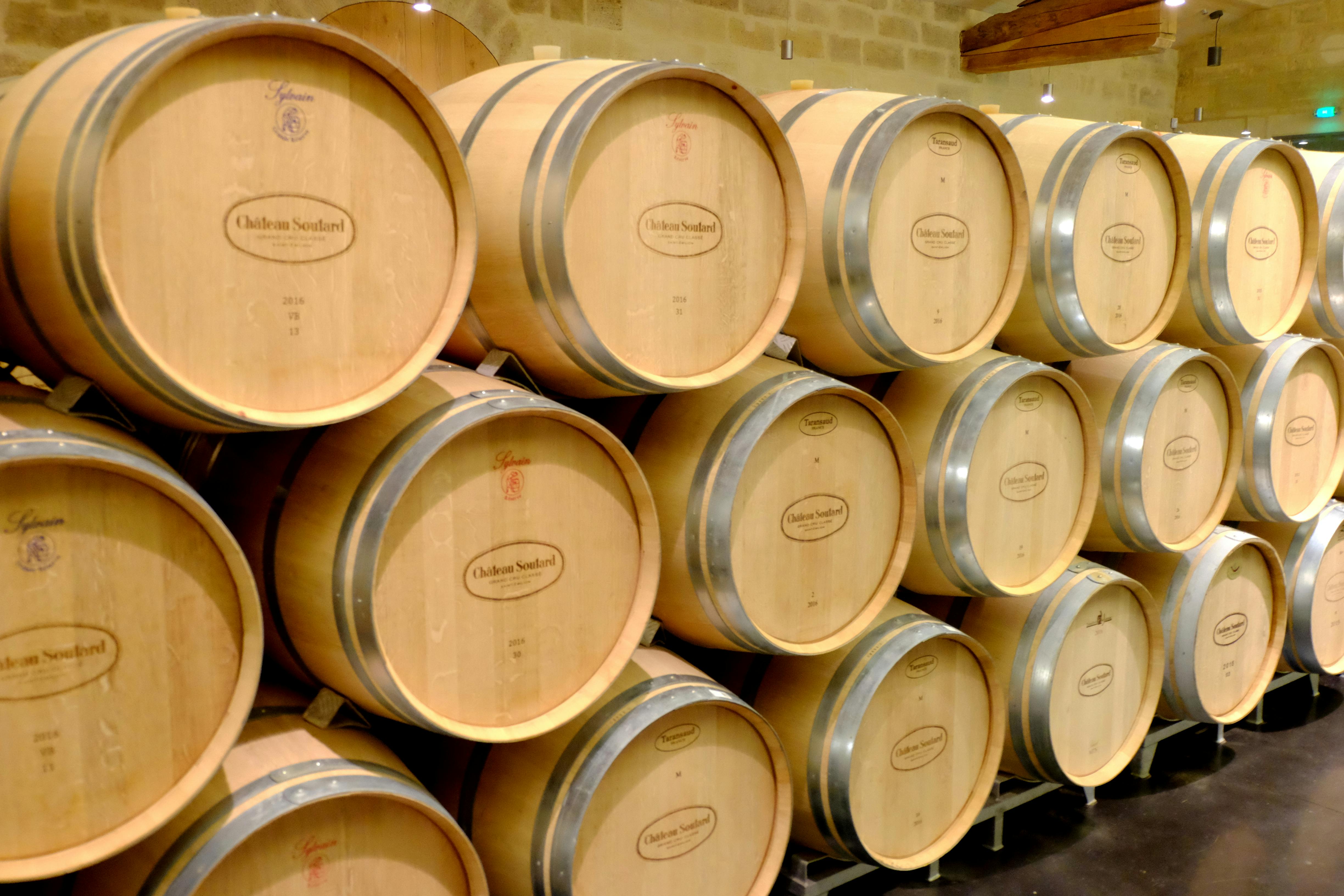 wine tourism 7 Photos & Videos Collected by Alizee Marchand