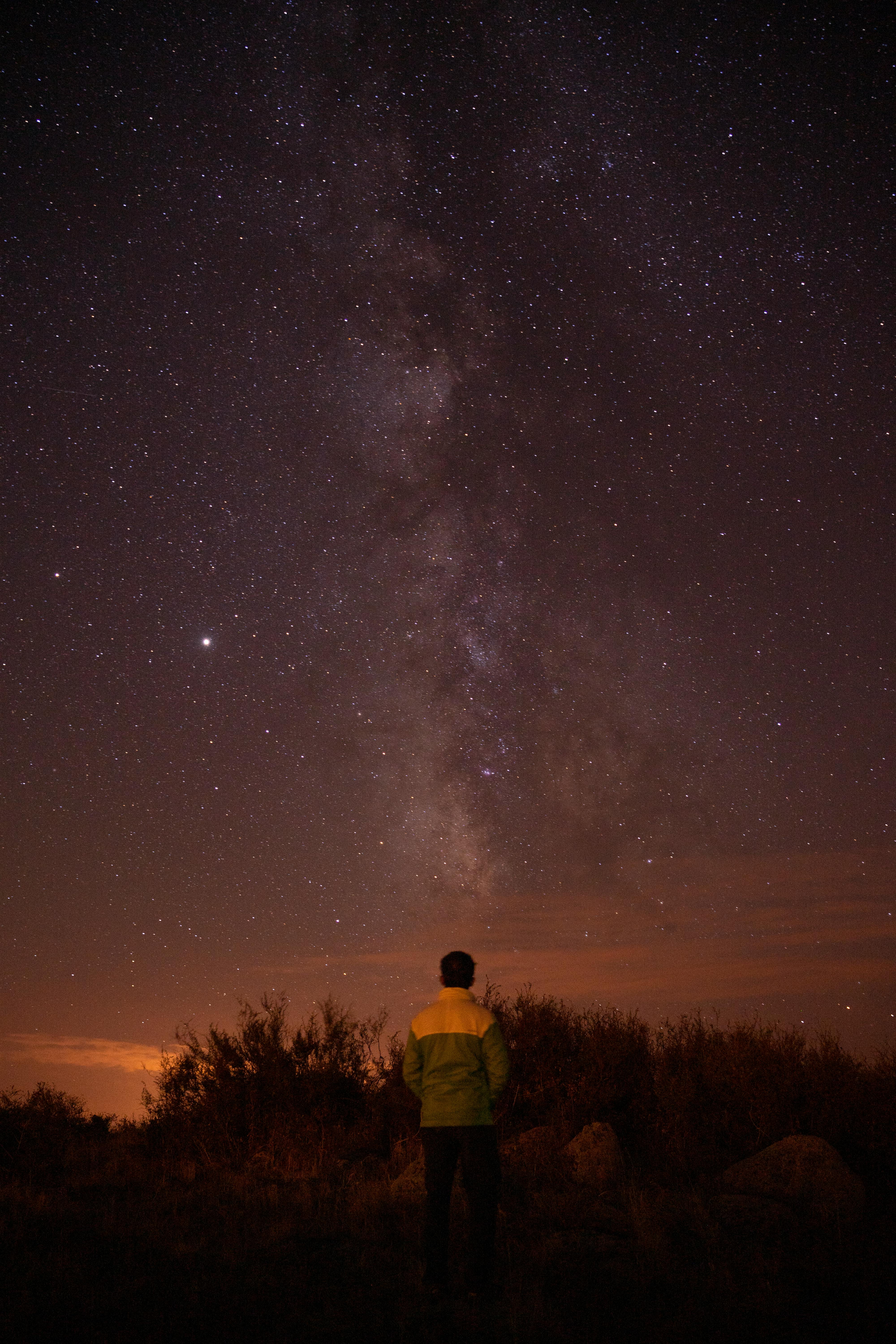 Man Looking at Night Sky · Free Stock Photo