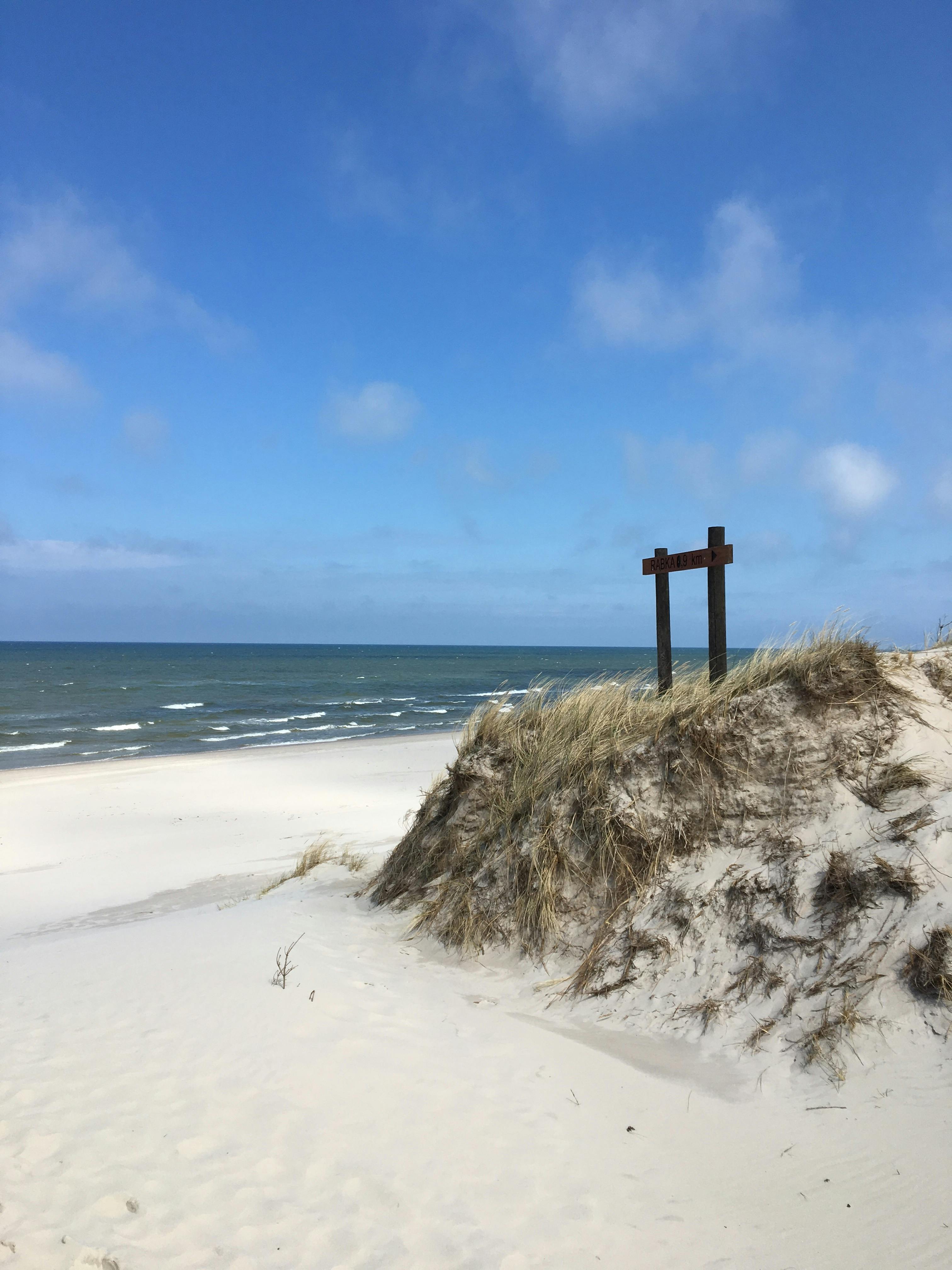 A Beautiful Scenery of a White Sand Beach and the Sea · Free Stock Photo