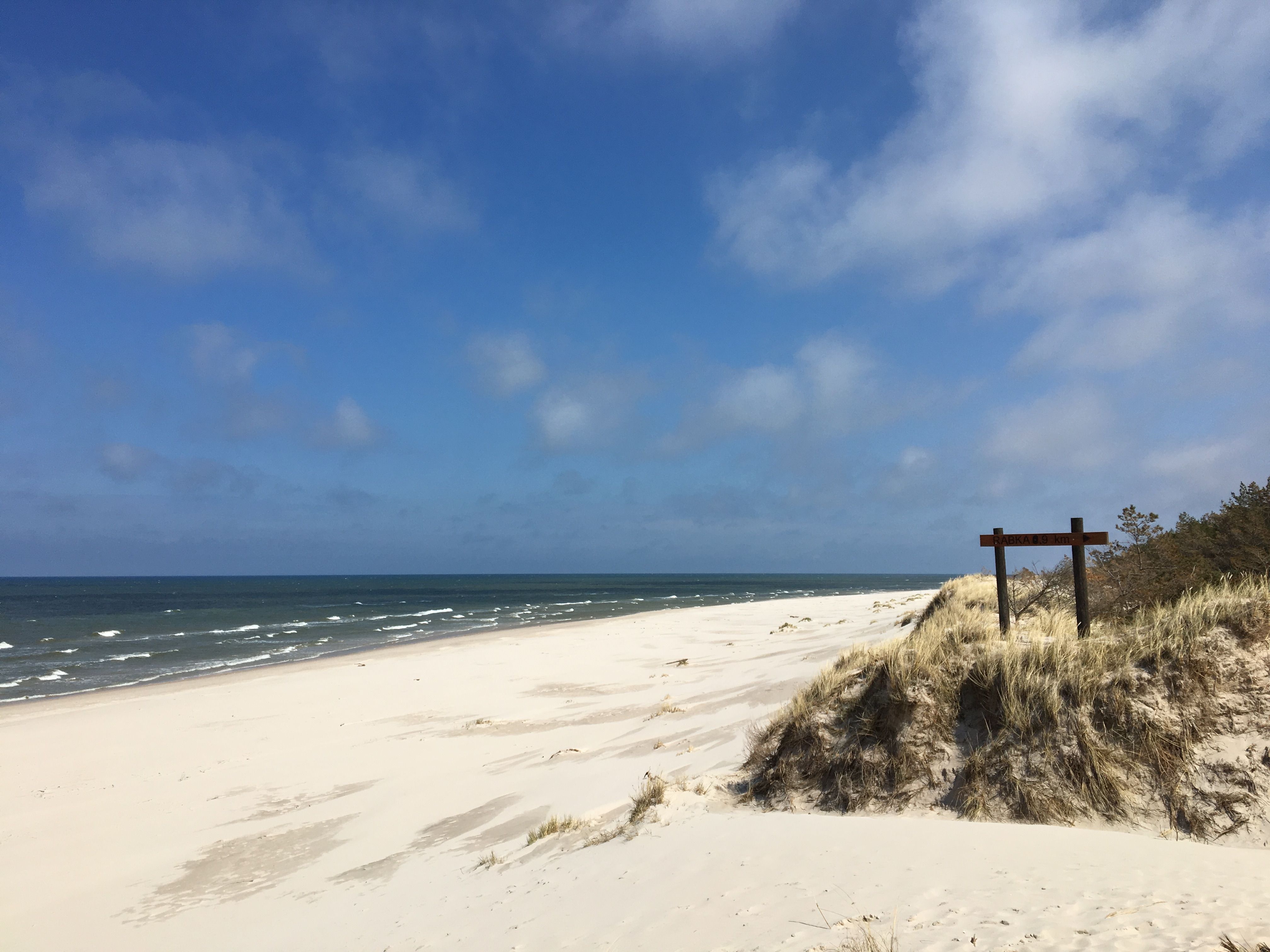 Ocean View during Daylight · Free Stock Photo