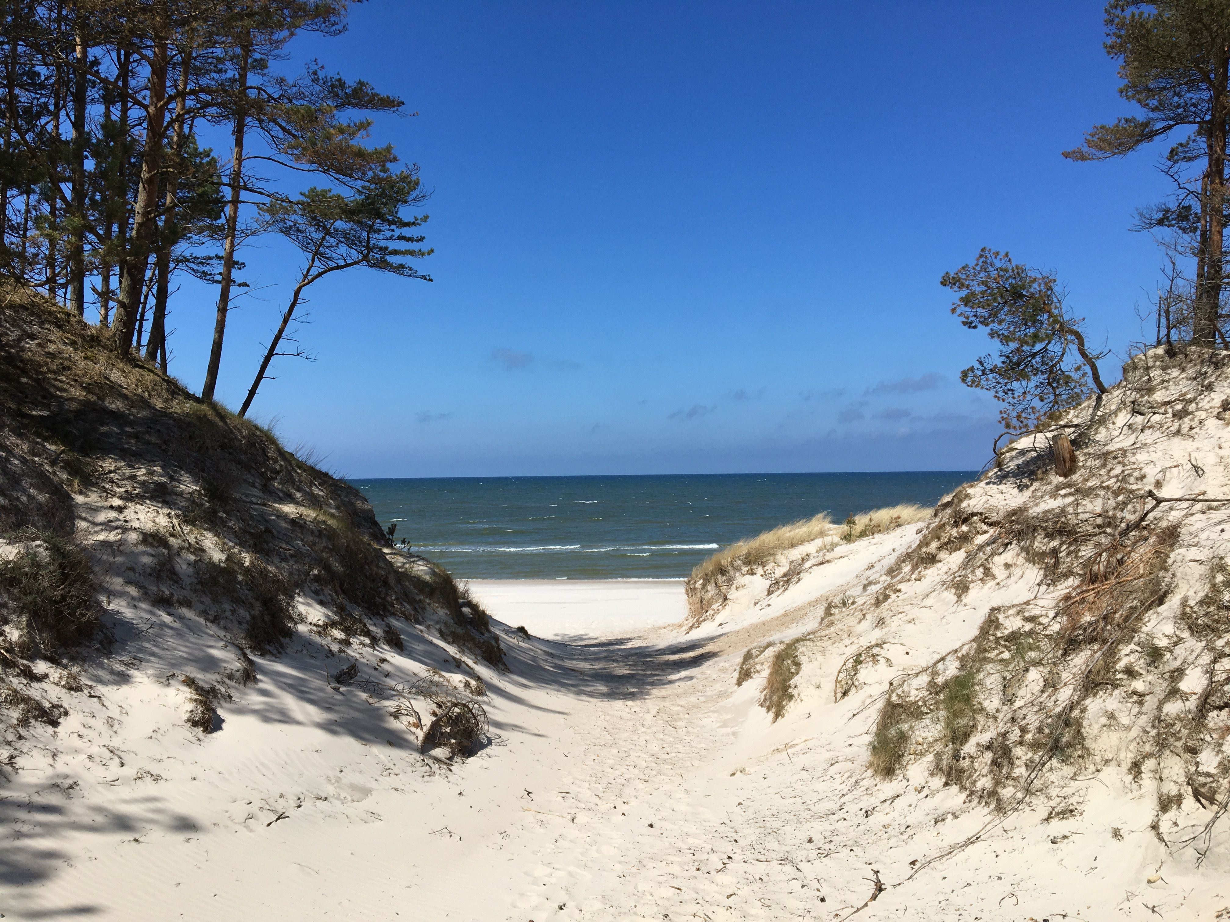 Reserve Beach Photos, Download The BEST Free Reserve Beach Stock Photos ...