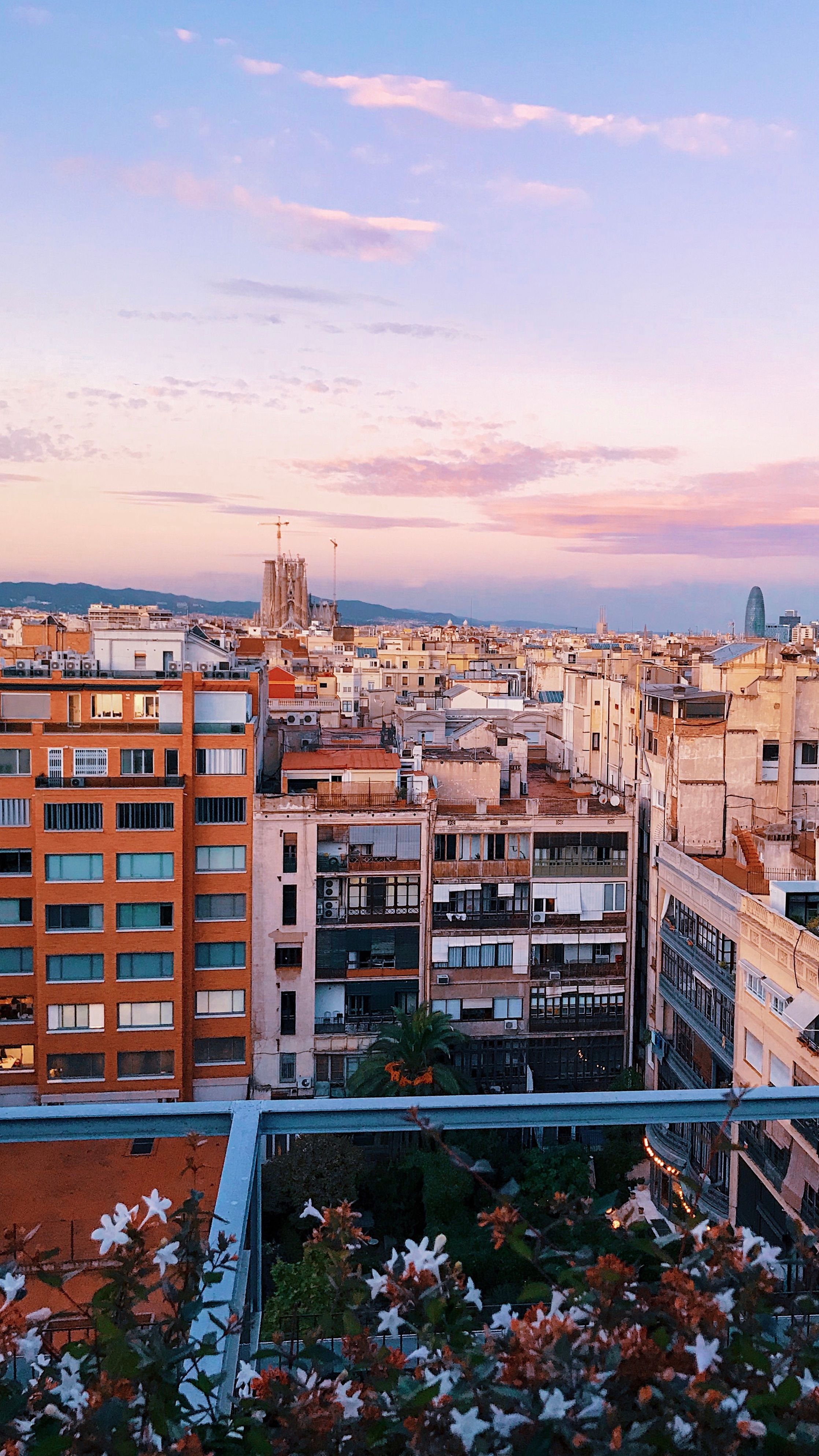 Drone Shot of a City · Free Stock Photo