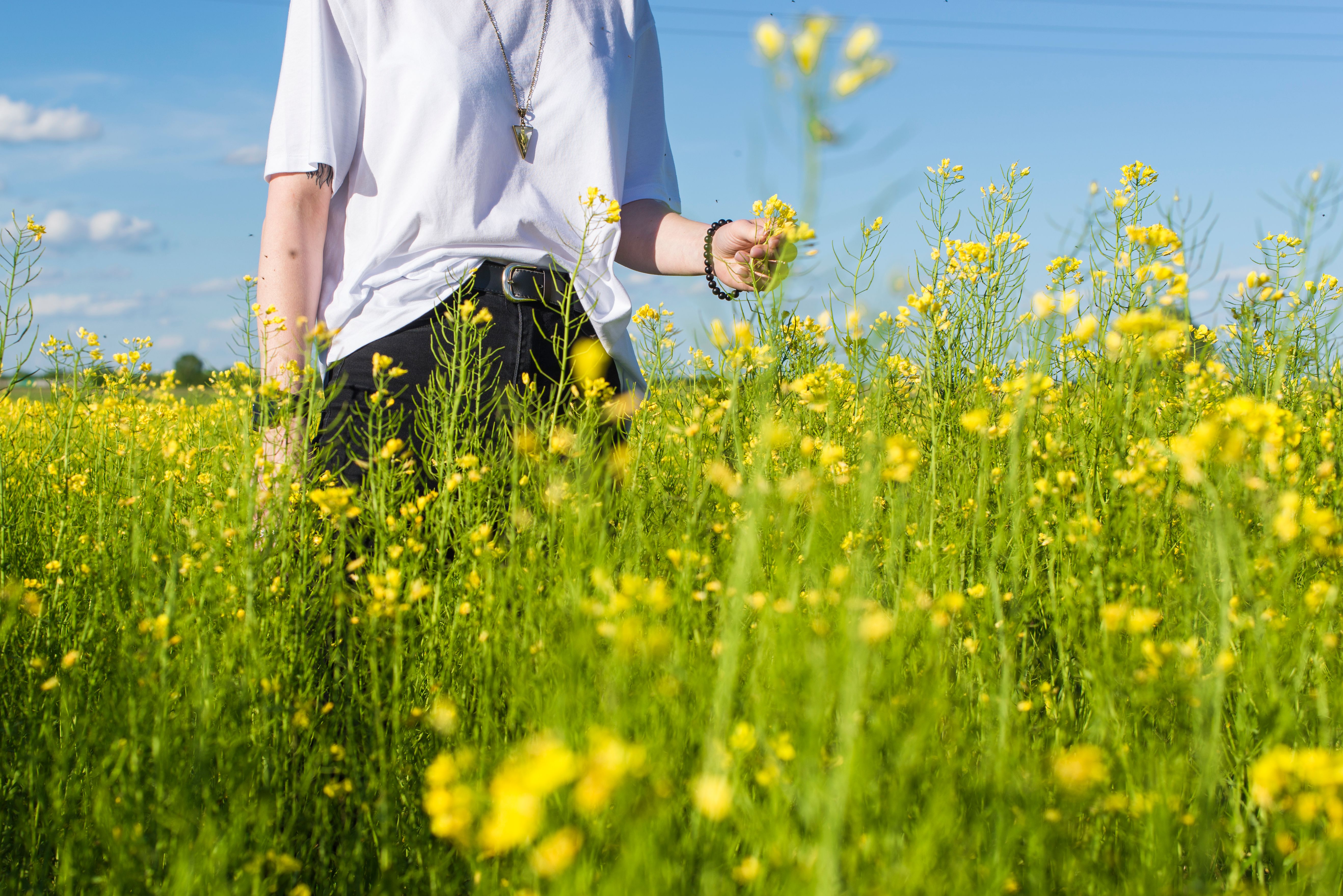 Person Standing on Field · Free Stock Photo