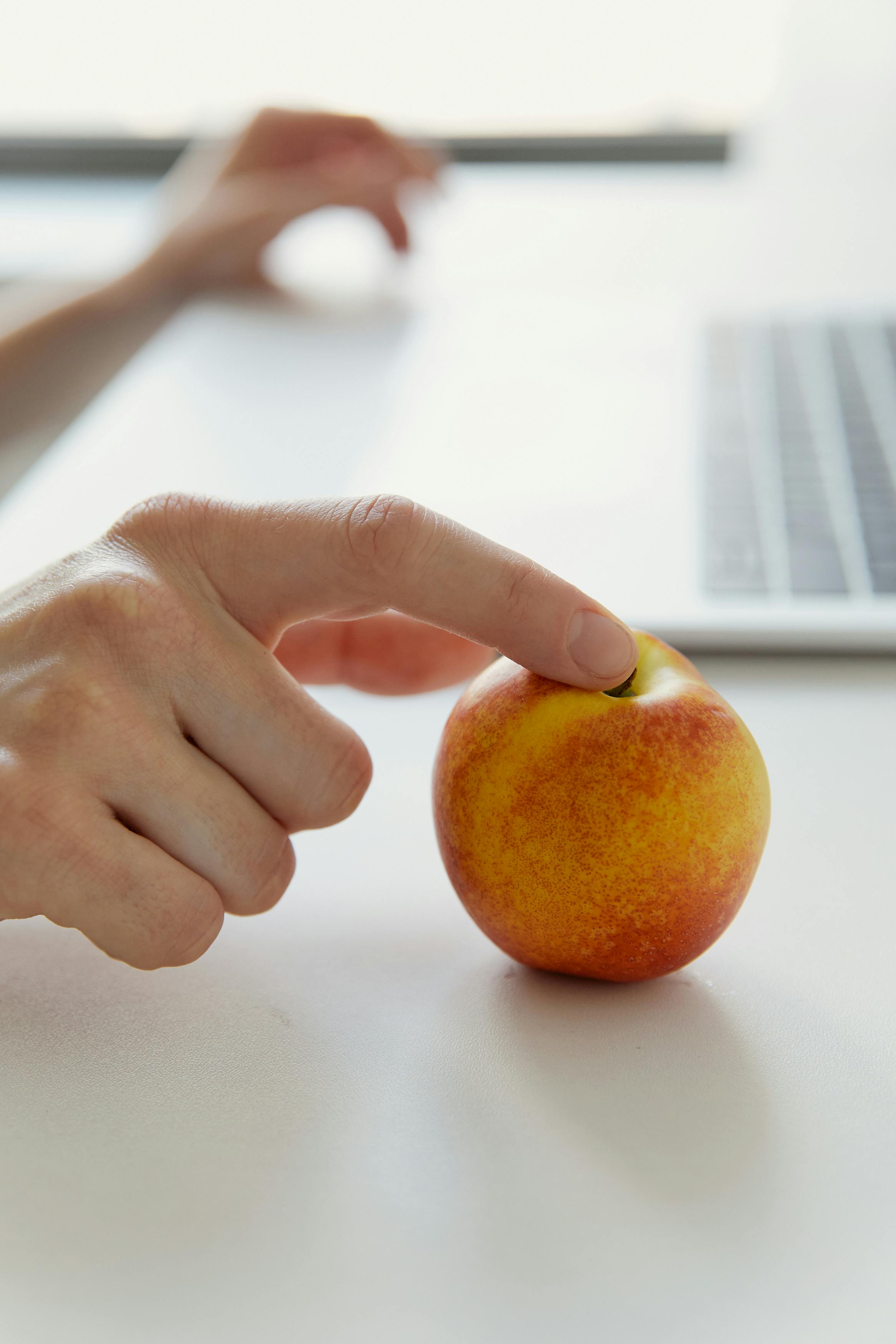 An Apple Hanging from a Tree · Free Stock Photo