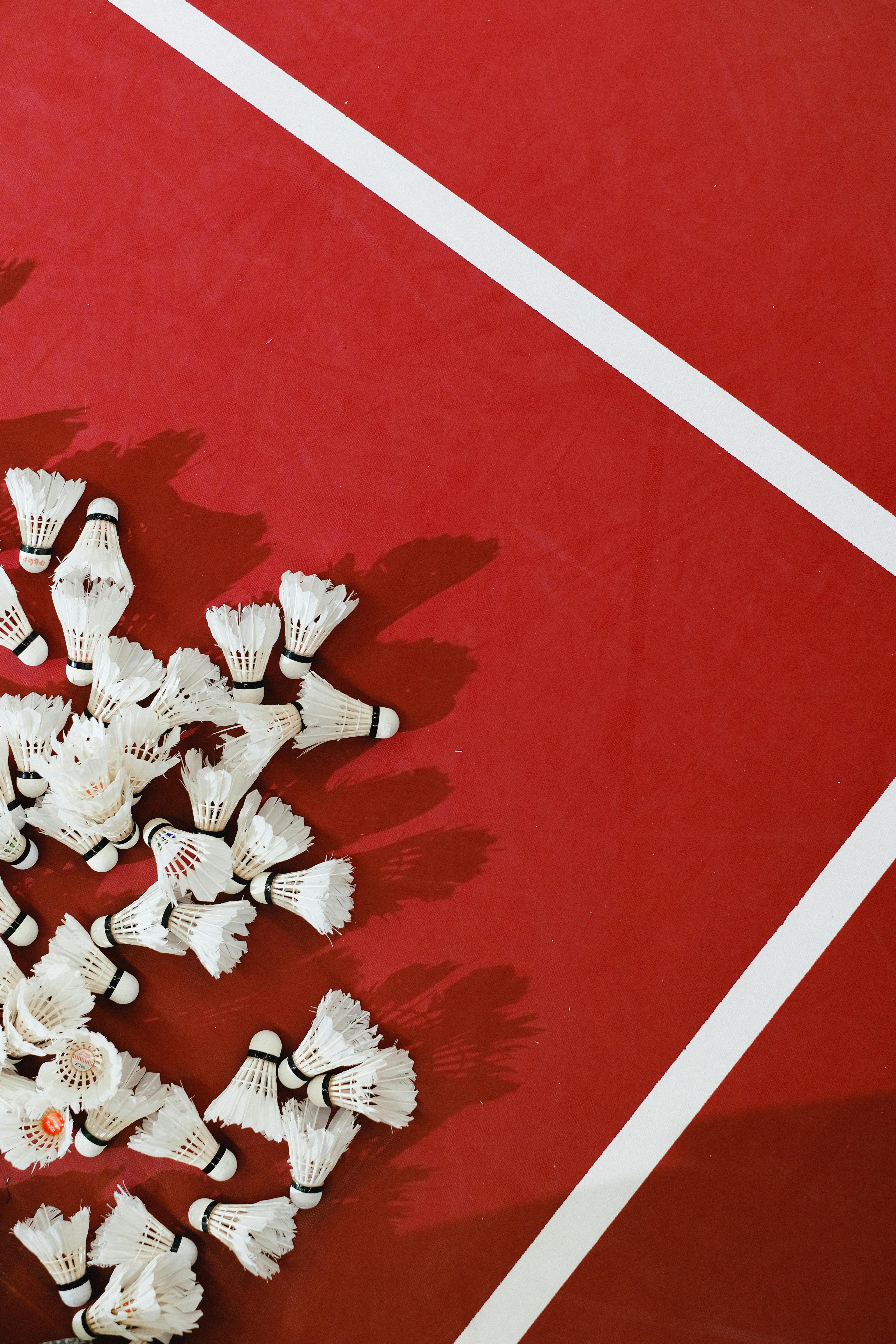 Shuttlecock on the Ground · Free Stock Photo