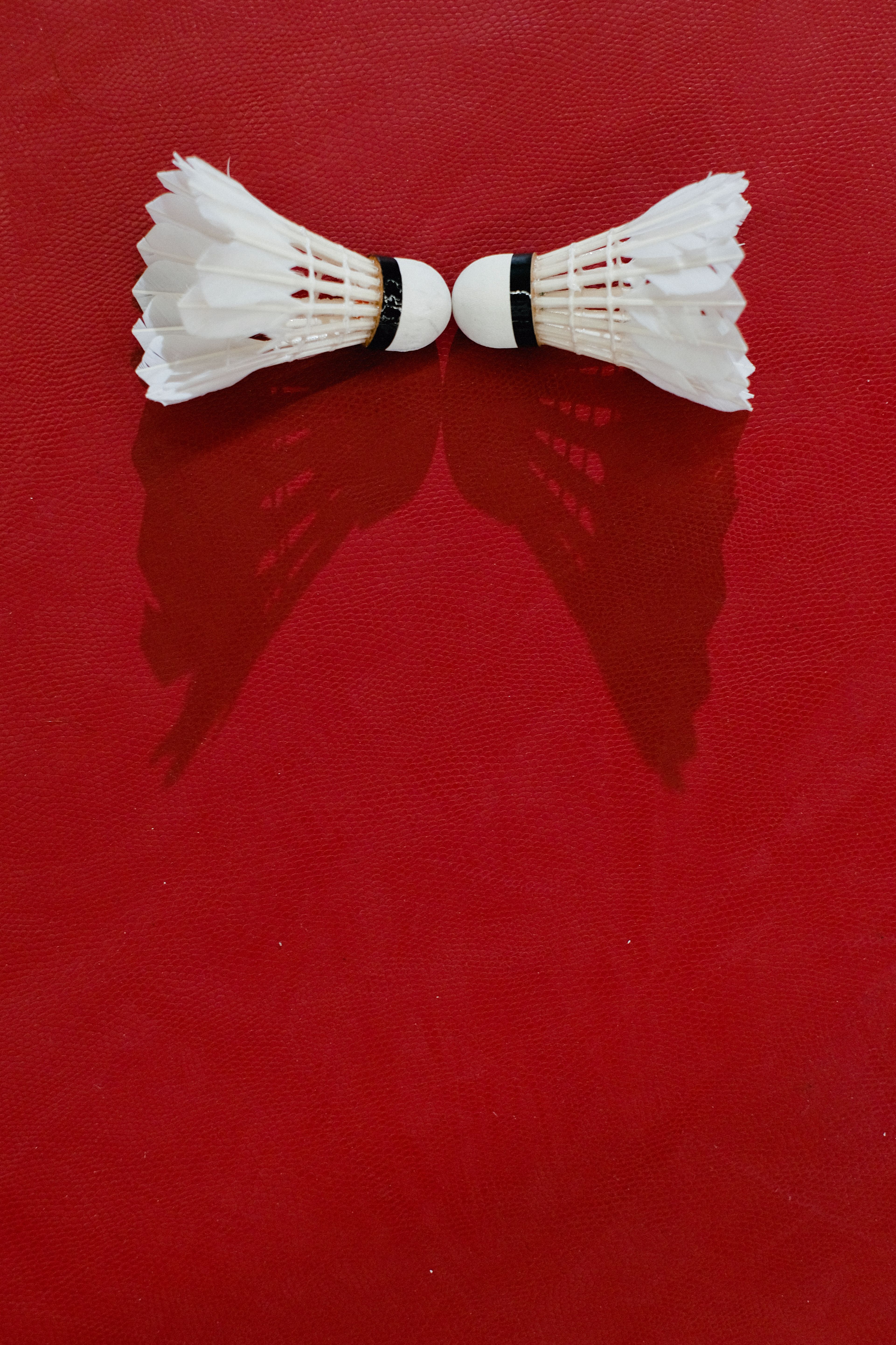 Competitive Badminton Photos, Download The BEST Free Competitive ...