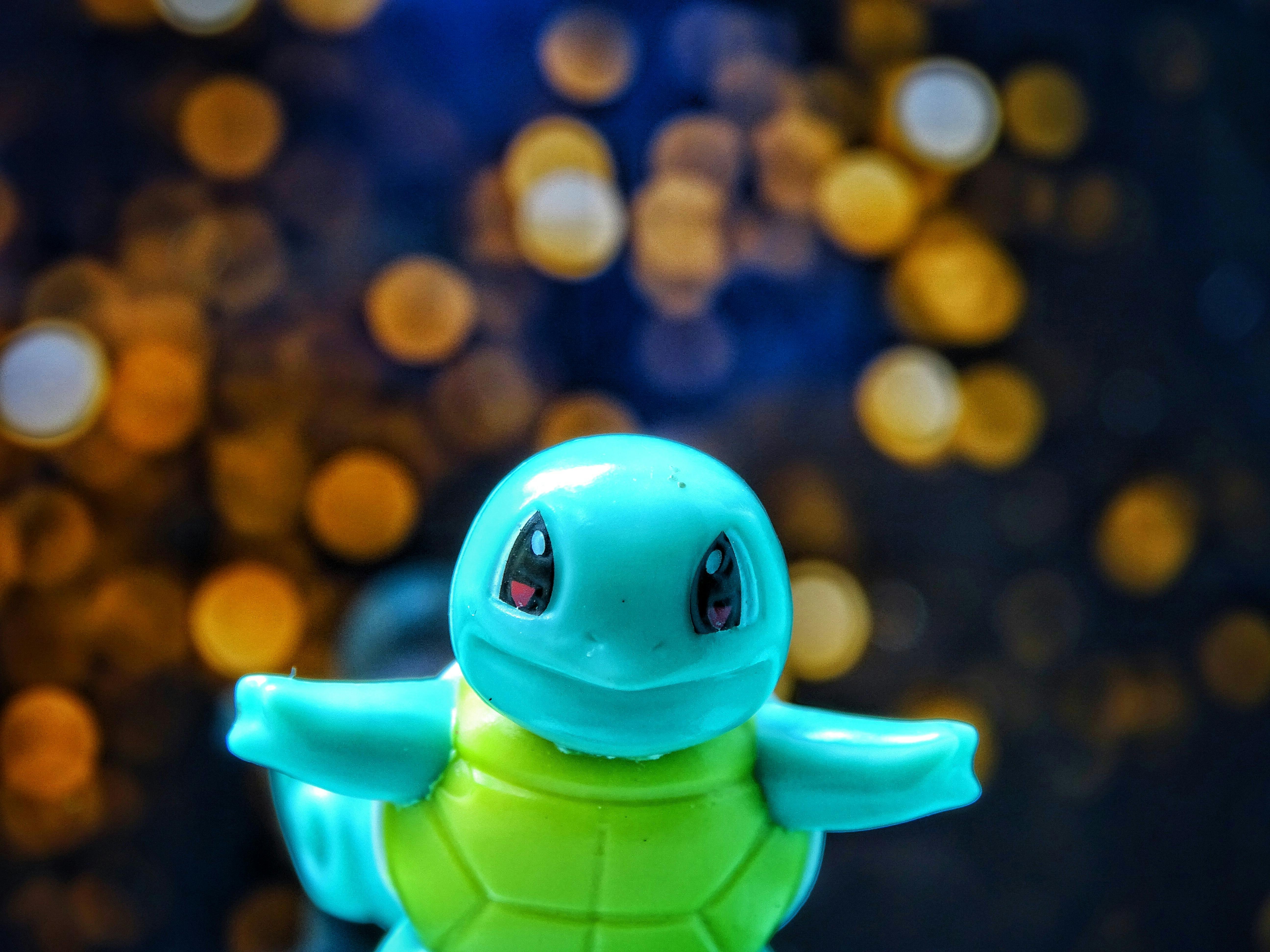 Midhun Joy - Photography