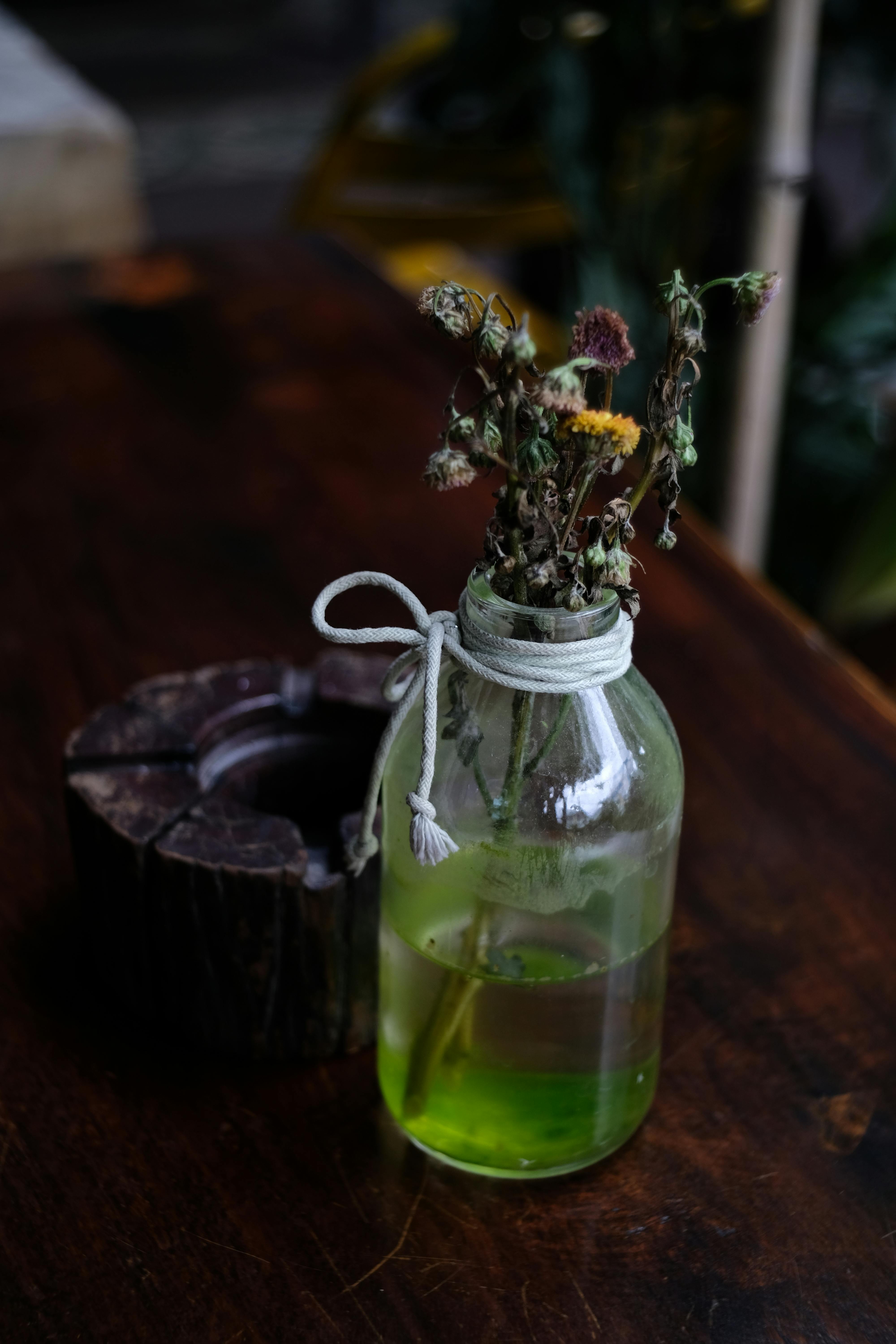 Withered Flowers in a Vase · Free Stock Photo