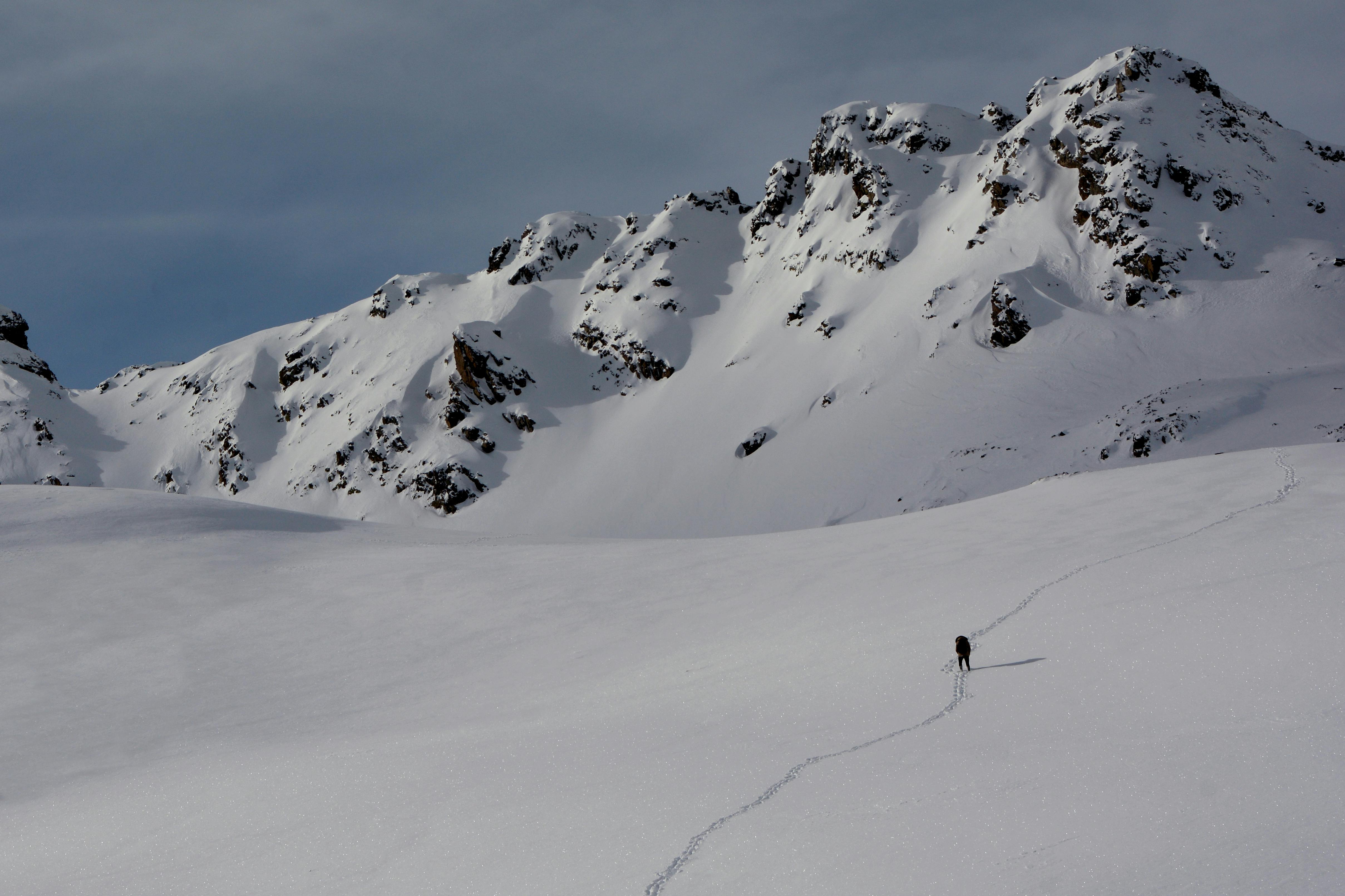 3,319+ Best Free Freezing Stock Photos & Images · 100% Royalty-Free HD ...