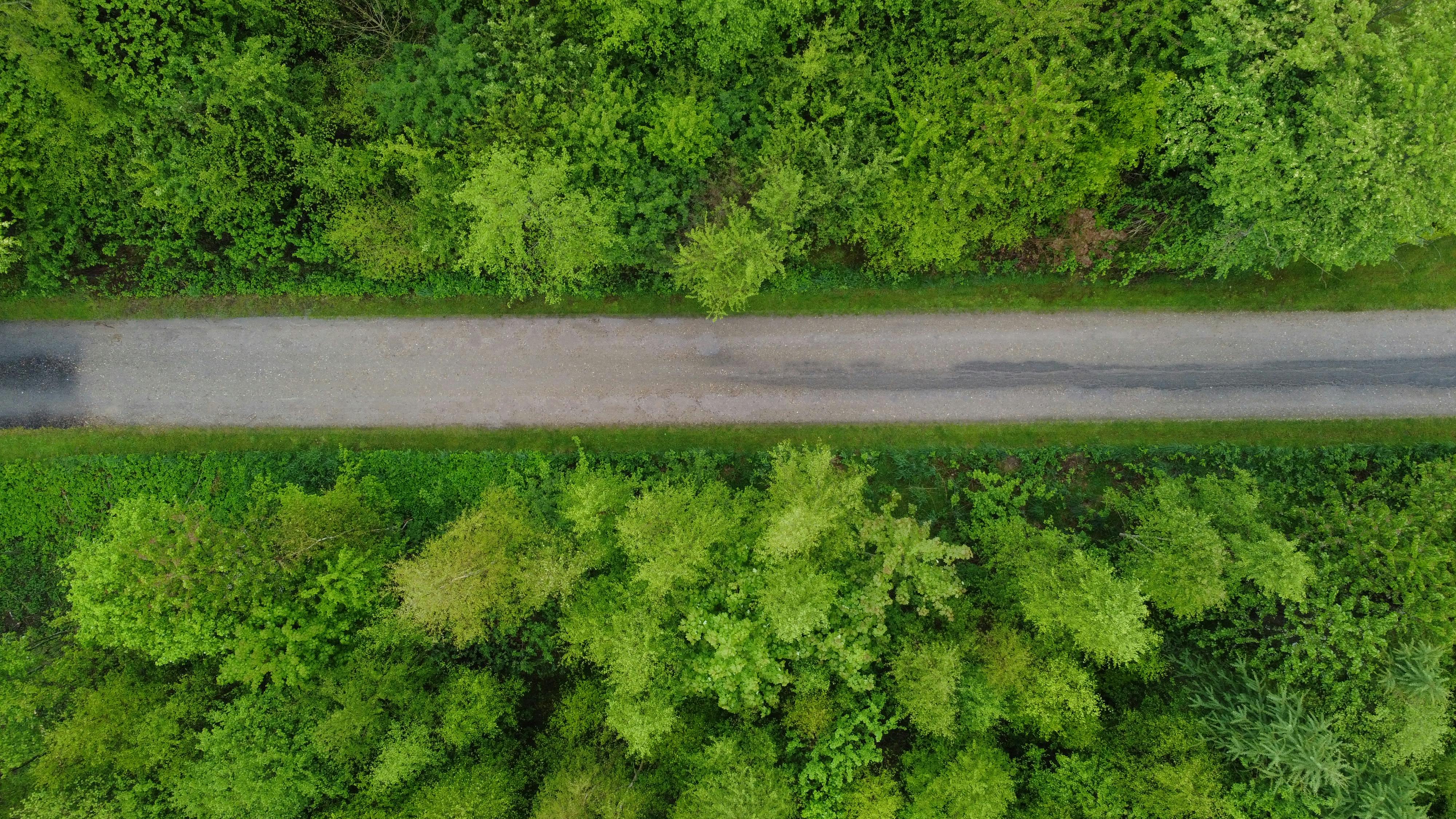 Aerial View of Woods · Free Stock Photo