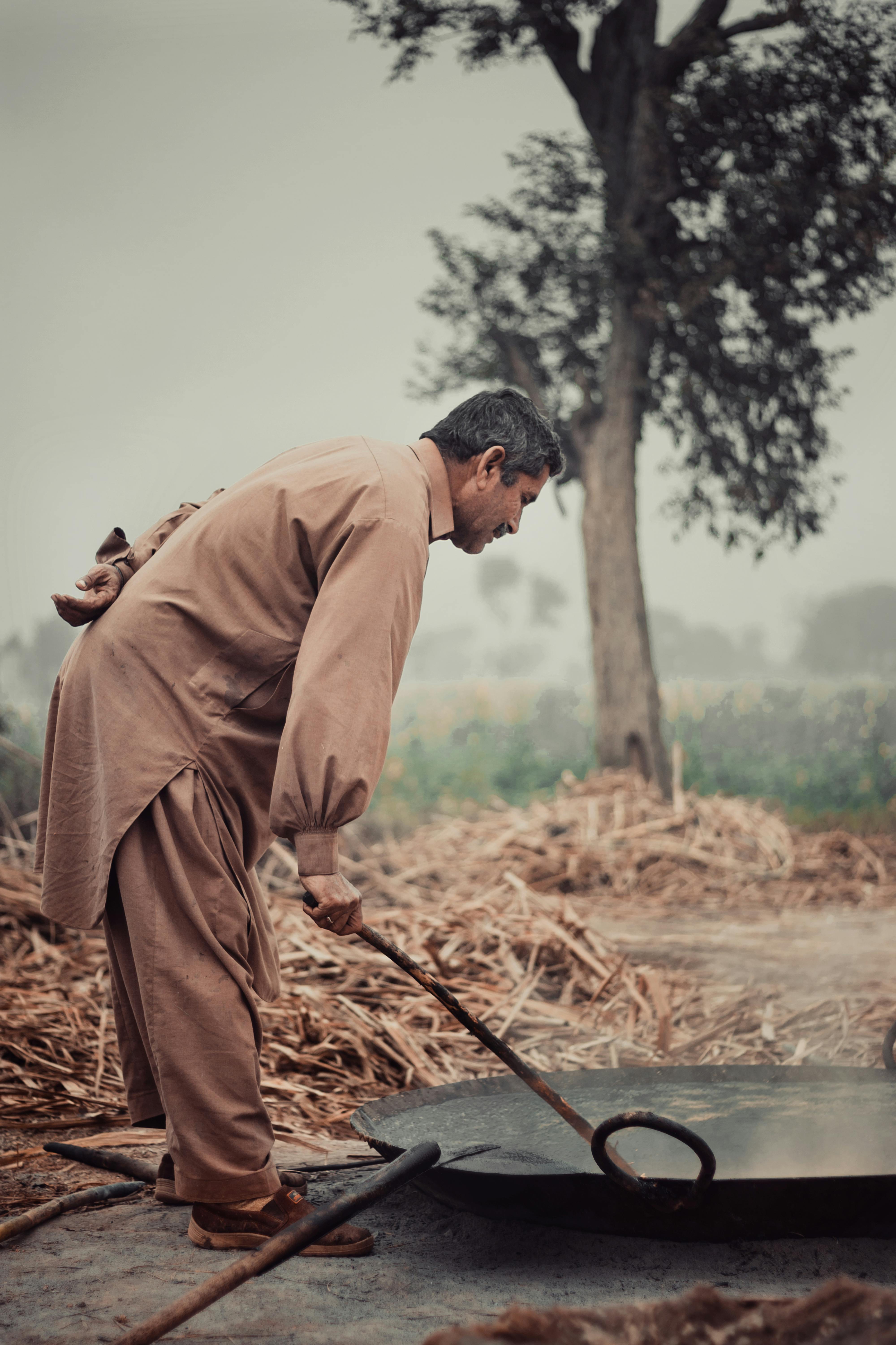 Pan Trees Photos, Download The BEST Free Pan Trees Stock Photos & HD Images