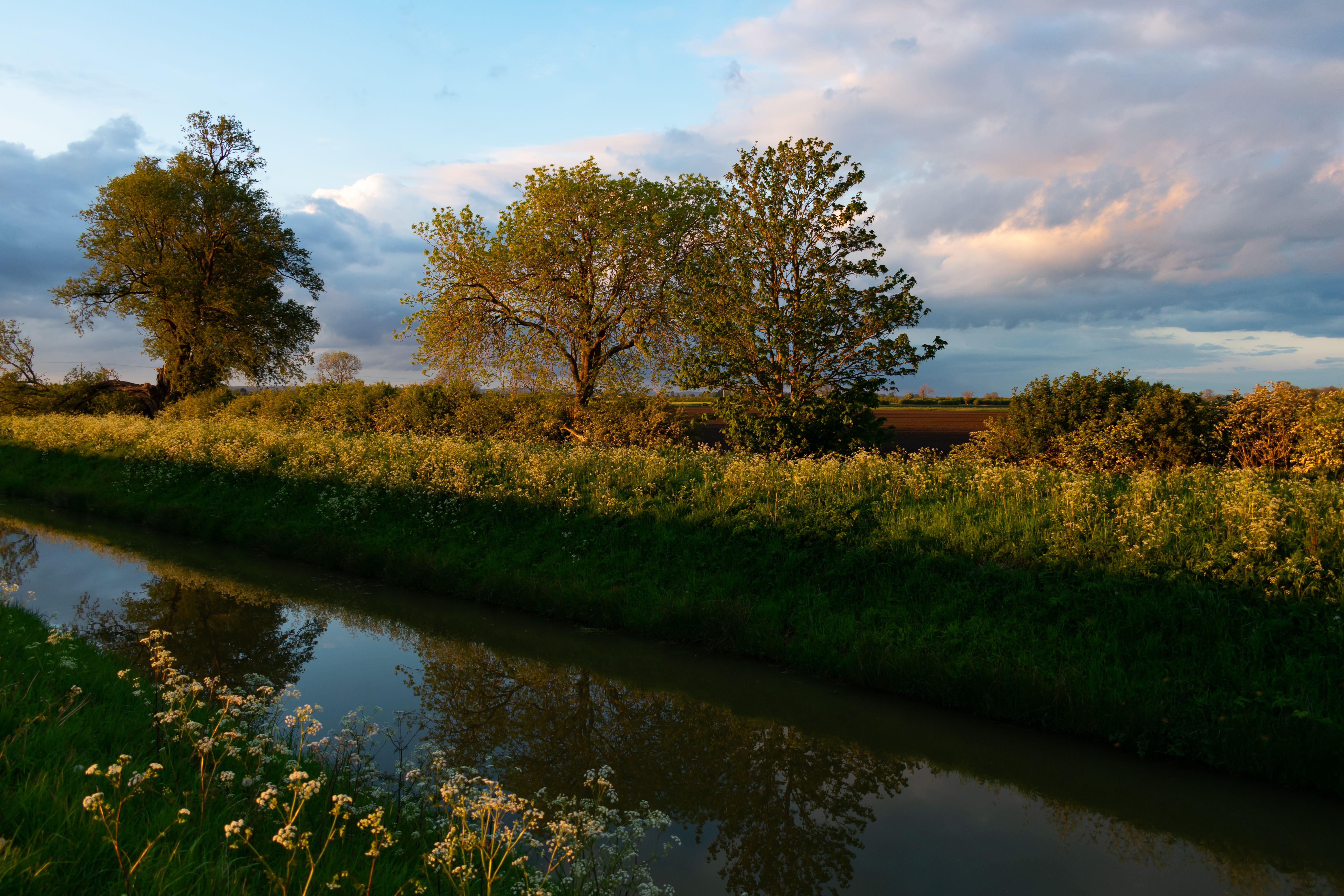 A River in the Countryside · Free Stock Photo