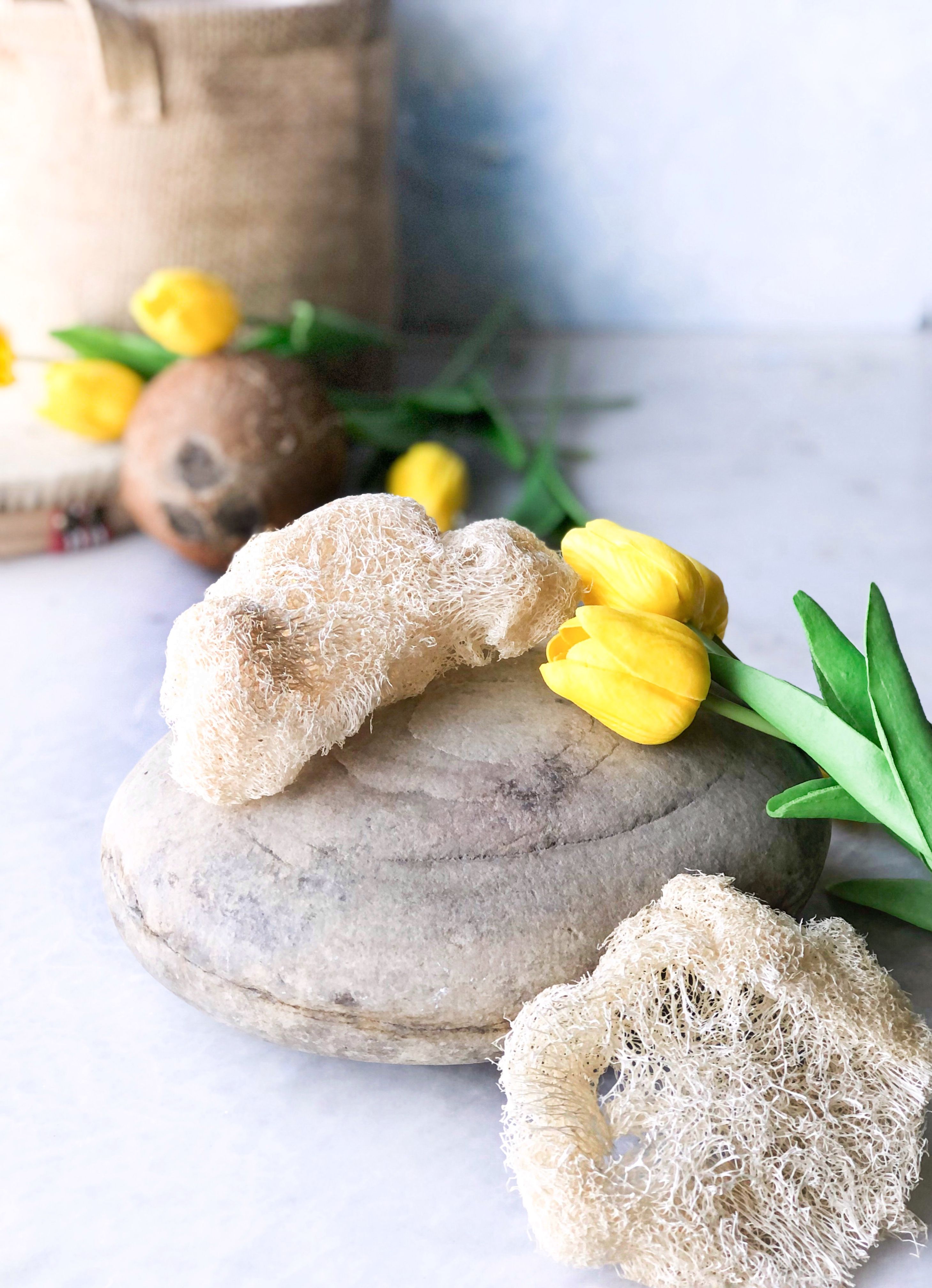 Loofah Sponge on Big Rock Near Yellow Tulips · Free Stock Photo