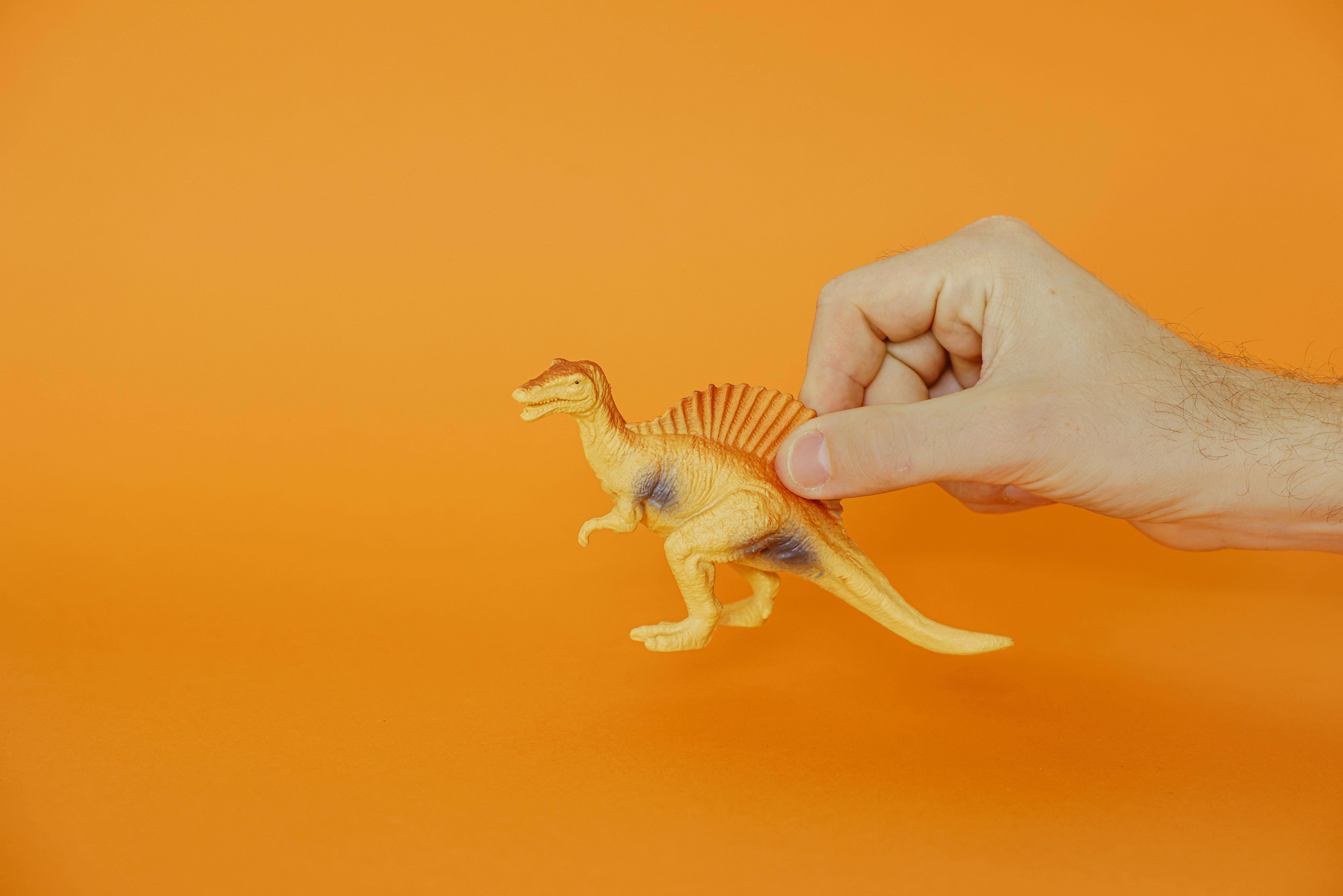 A Person Holding a Spinosaurus Dinosaur Toy · Free Stock Photo
