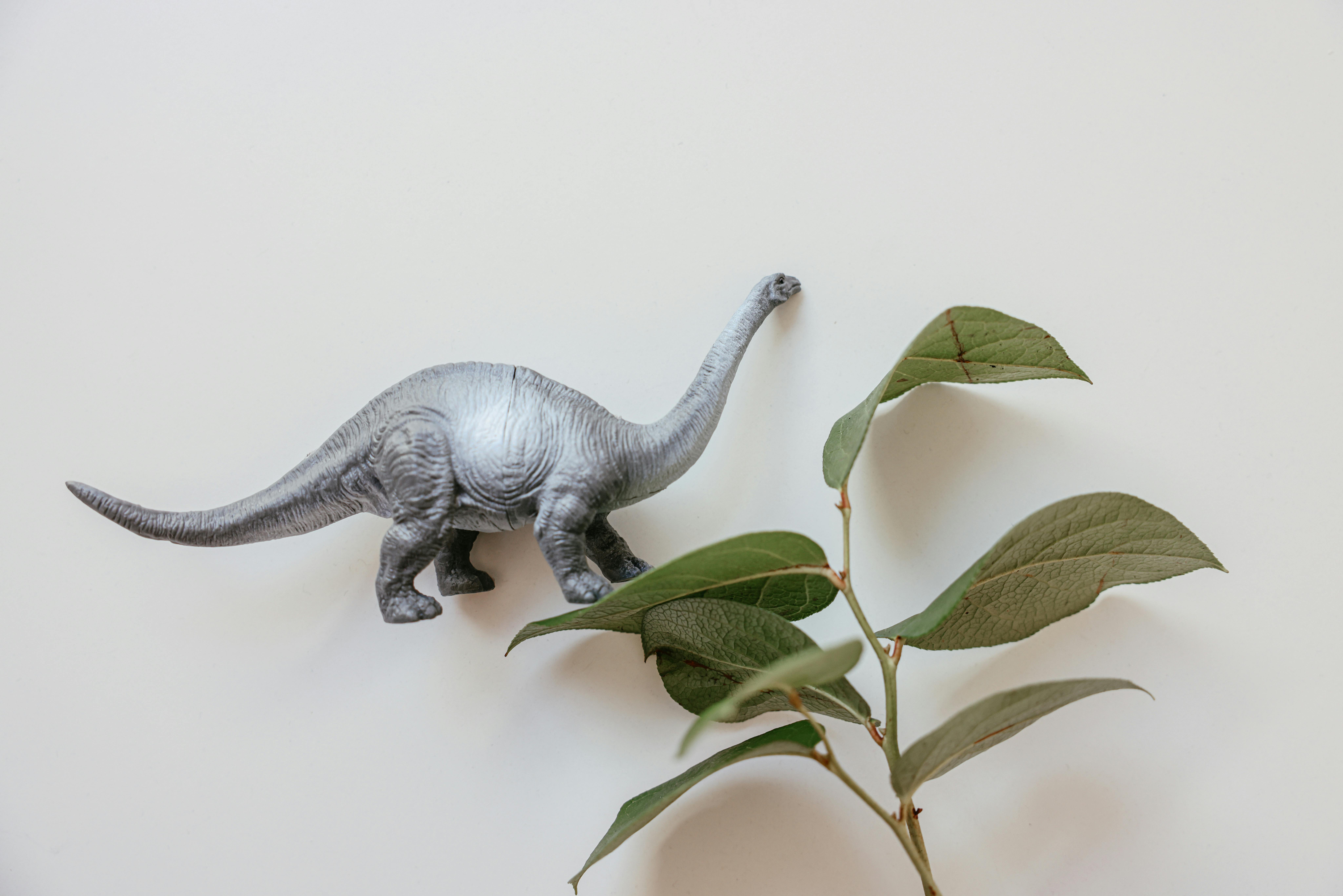 Grey Dinosaur Figurine on White Surface · Free Stock Photo