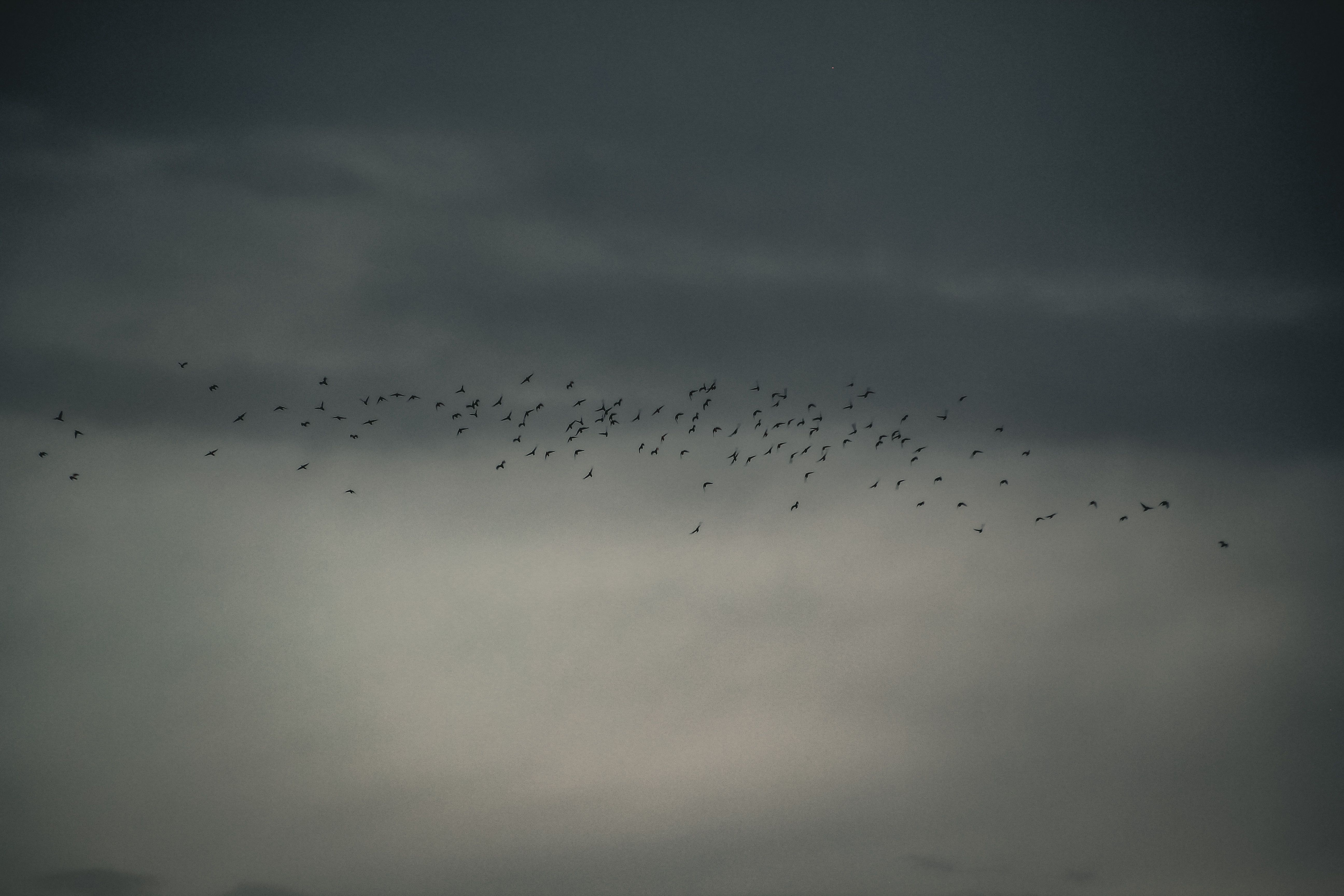 Dark Clouds on Gray Sky · Free Stock Photo